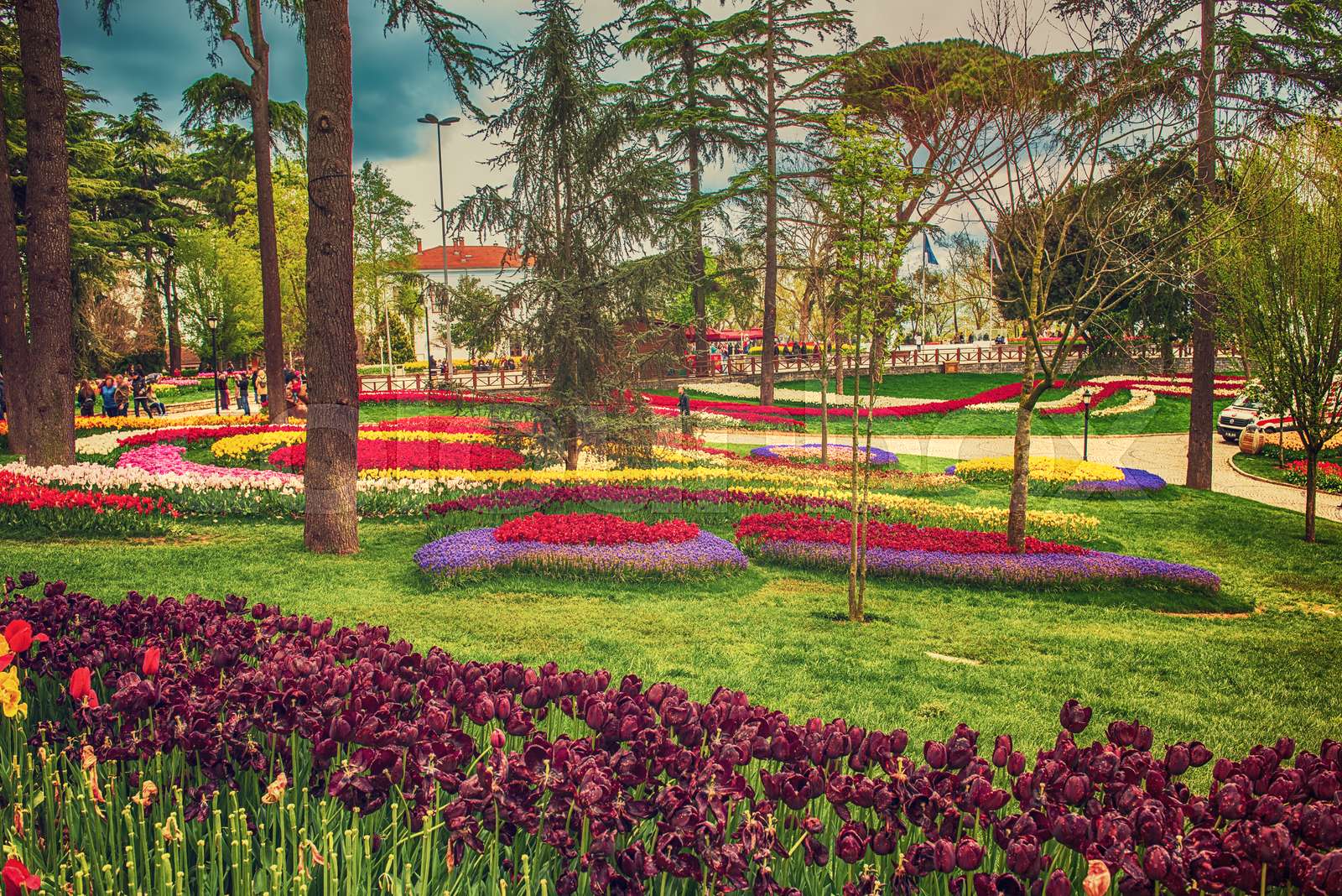 park, istanbul, april | Stock Bild | Colourbox