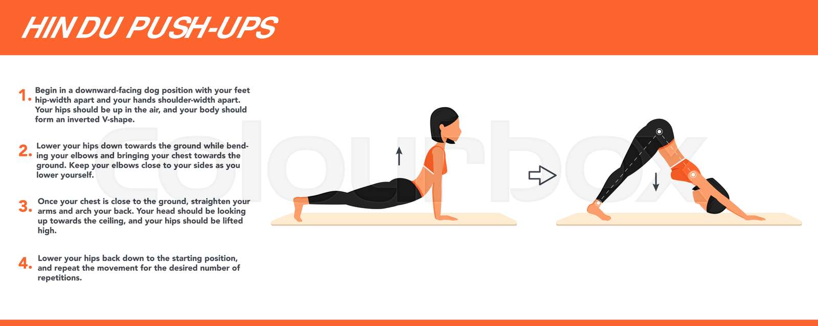 Hindu push-ups exercise tutorial. Female workout | Stock vector | Colourbox