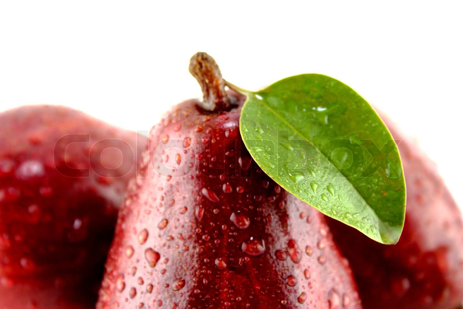 Red Pears | Stock image | Colourbox