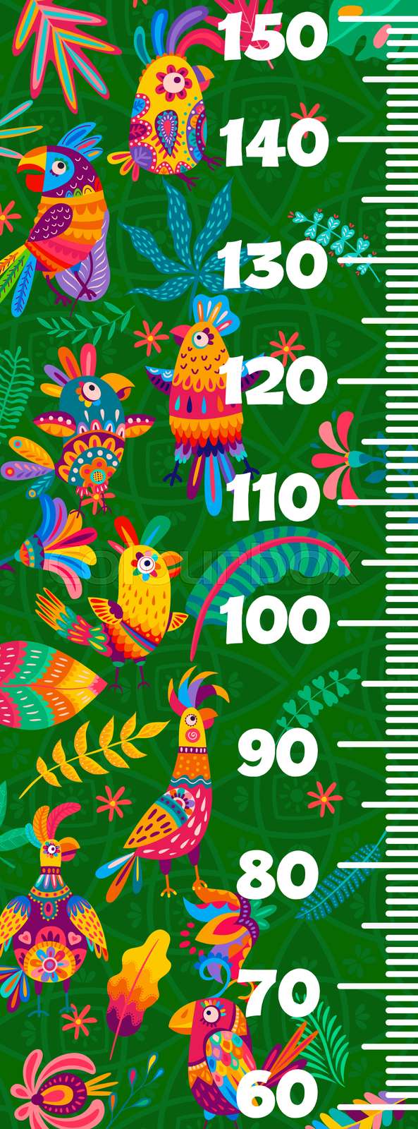 Kids height chart, brazilian and mexican parrots | Stock vector | Colourbox