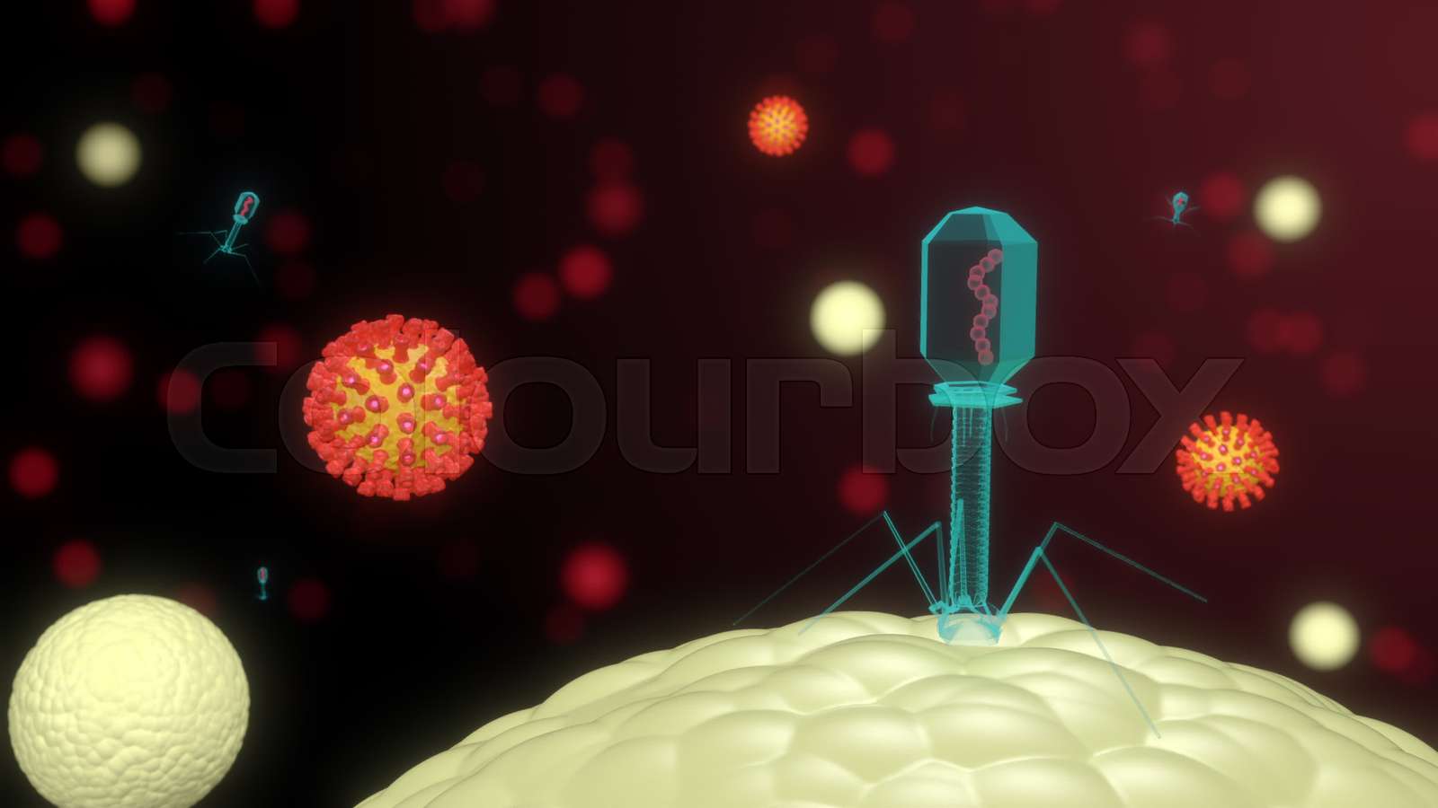 bacteriophages infect the cell mechanism of RNA injection into a living ...