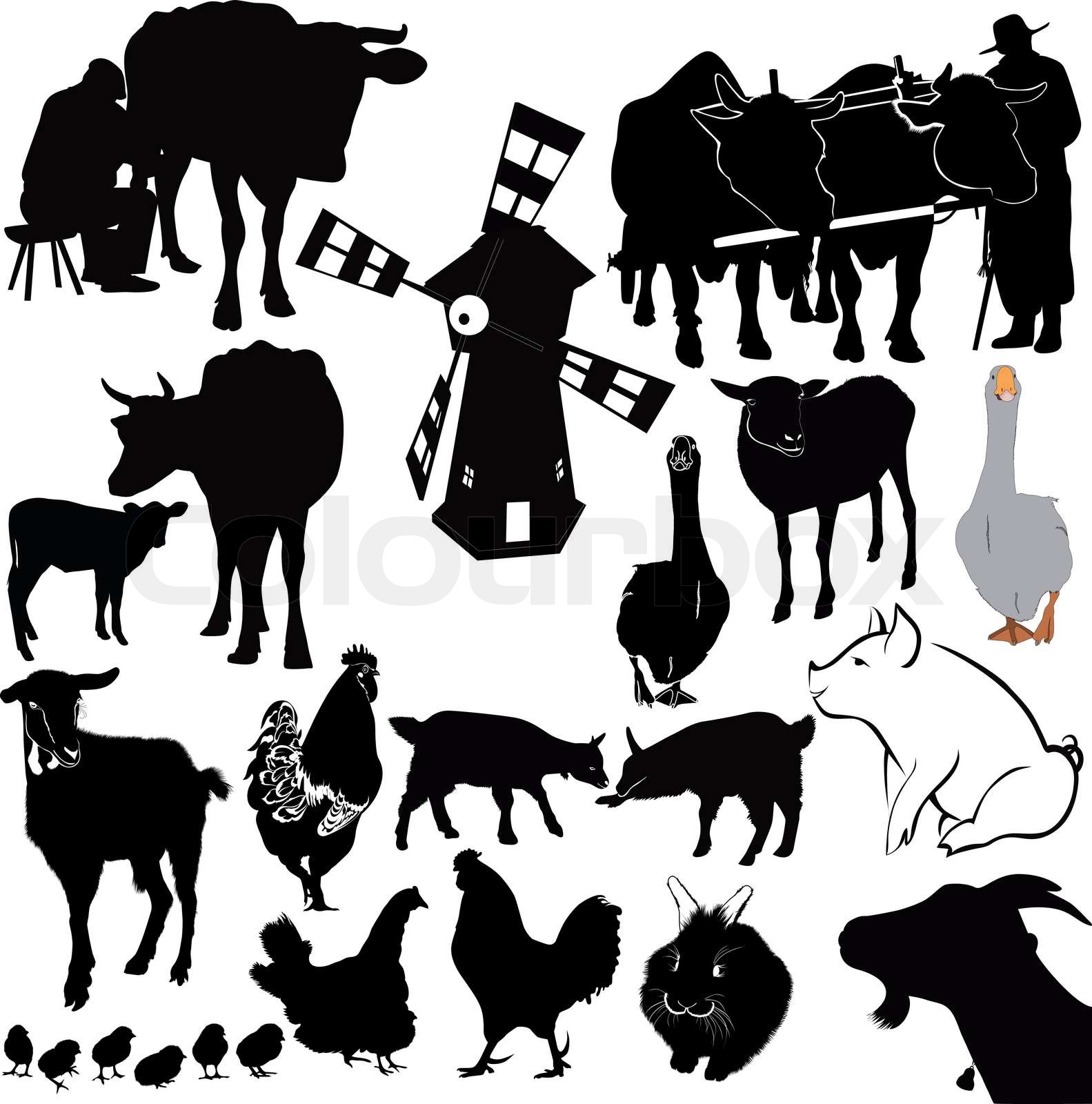 farm livestock farming vector | Stock vector | Colourbox
