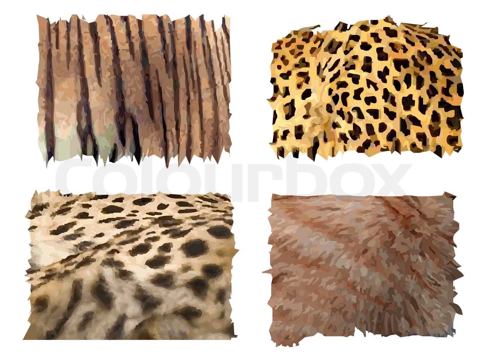 feline animals fur patterns | Stock vector | Colourbox