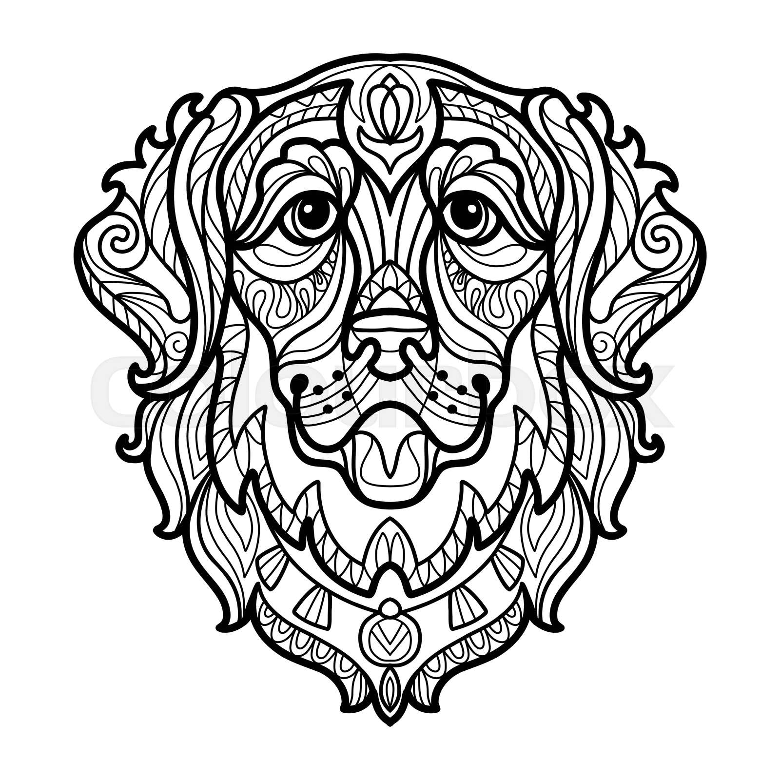Golden retriever dog head coloring book page | Stock vector | Colourbox