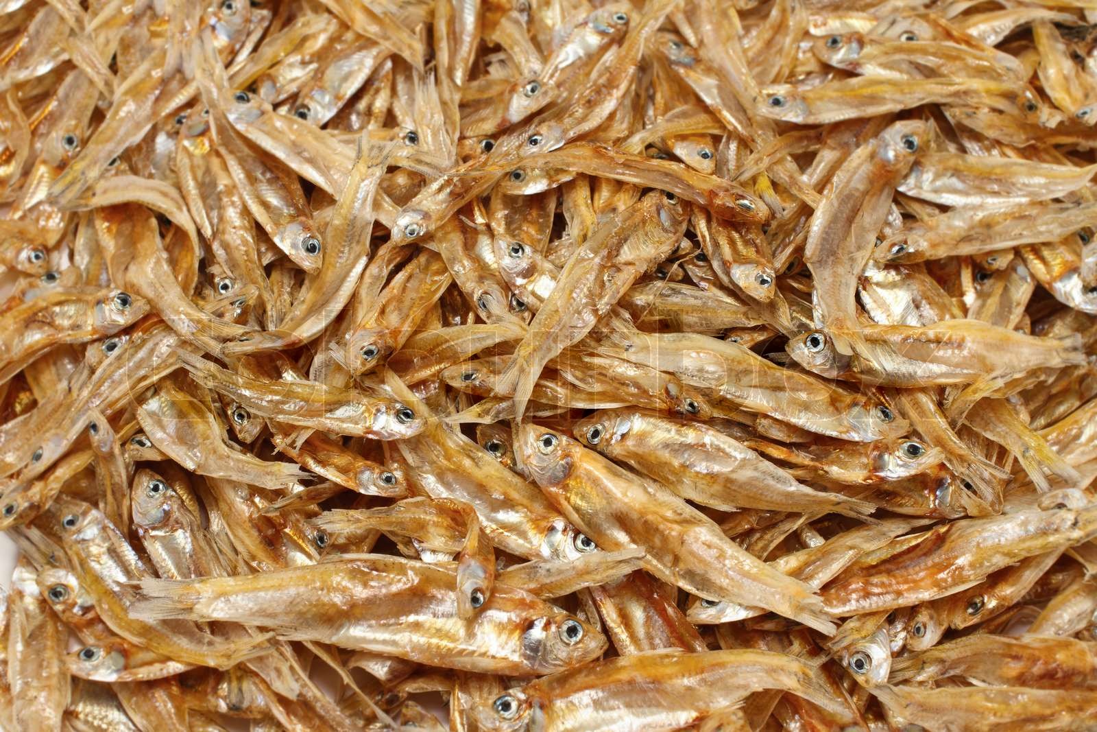 Dried tiny fish | Stock image | Colourbox