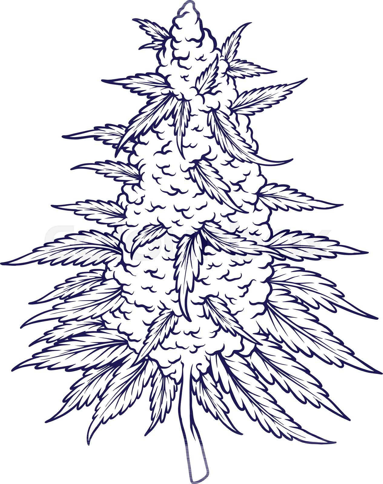 Weed bud leaf cannabis medicinal plant monochrome | Stock vector ...