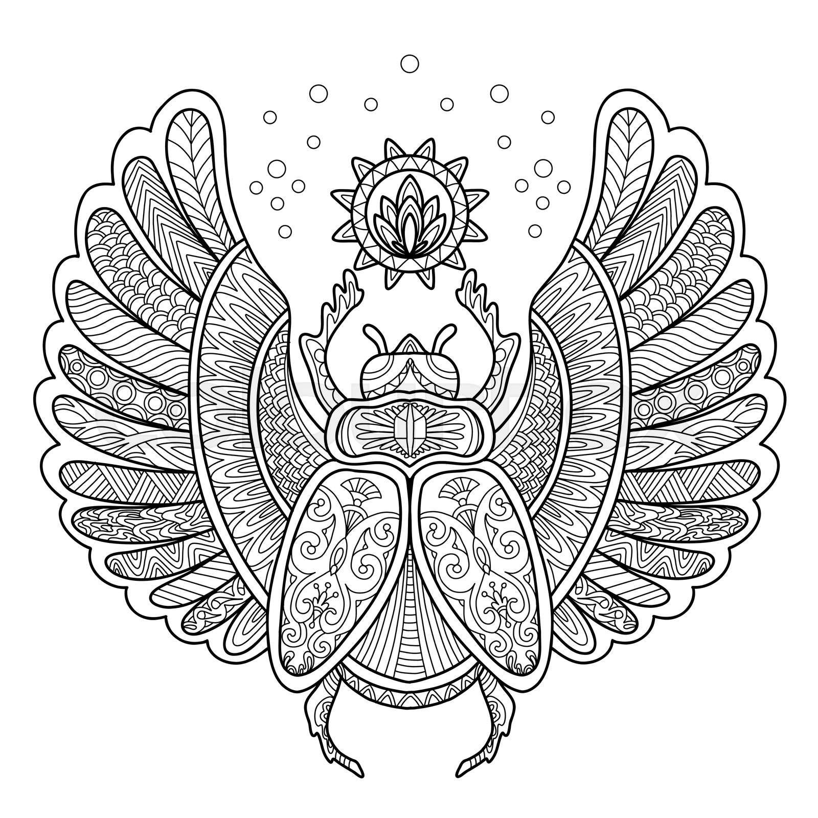 Scarab beetle adult antistress coloring page vector | Stock vector ...