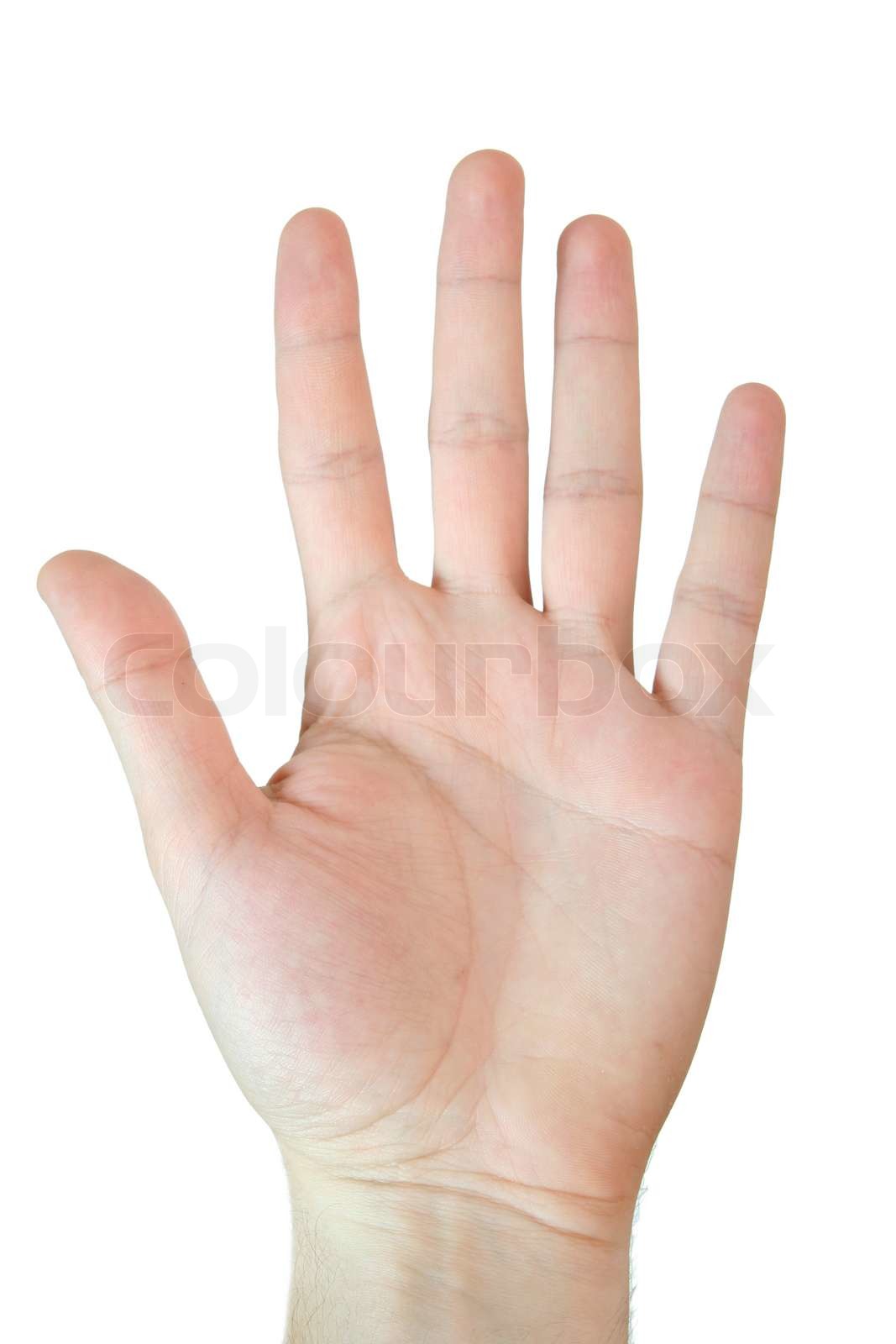 Man hand | Stock image | Colourbox