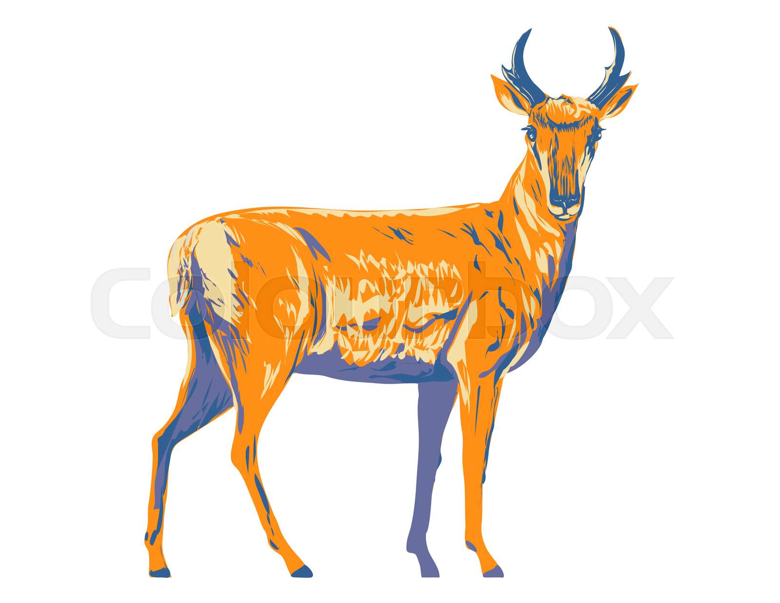Pronghorn or American Antelope Side View WPA Poster Art | Stock vector ...