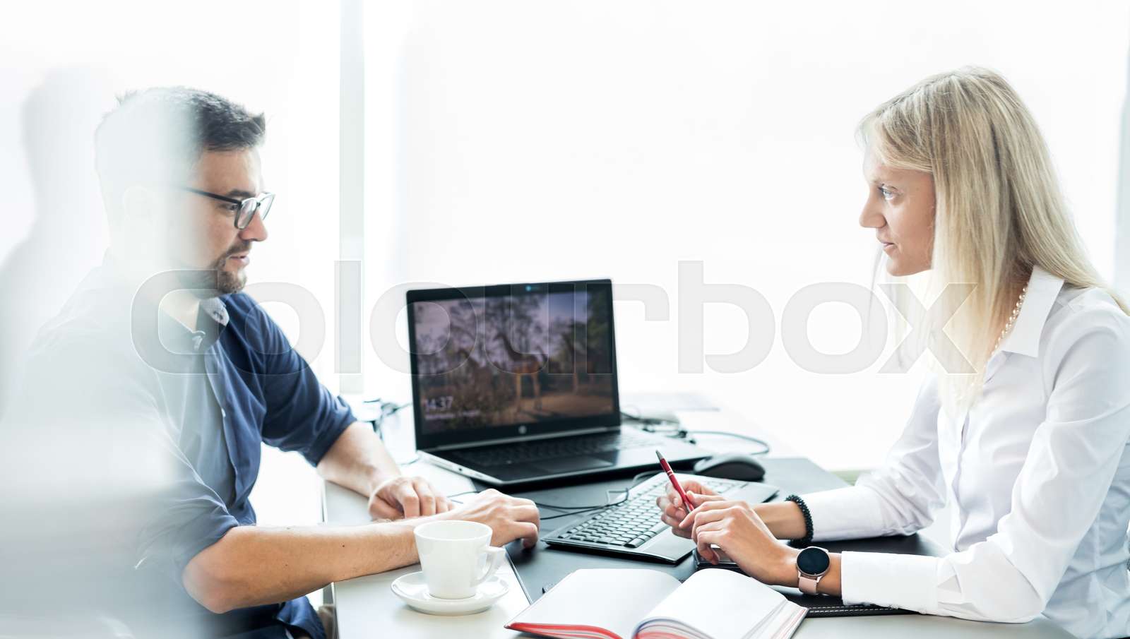 Business meeting. Client consulting. Confident business woman, real ...