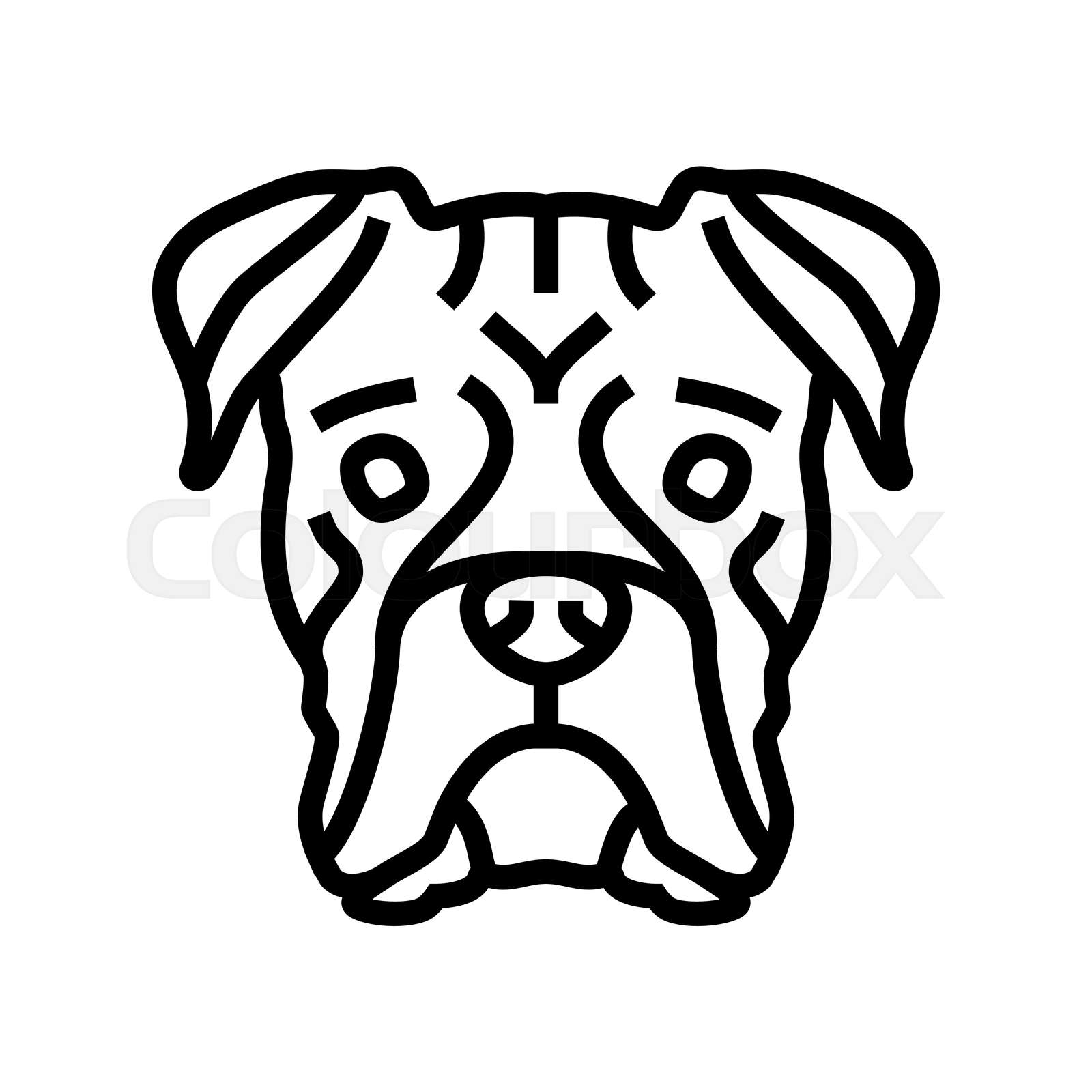 Boxer Dog Face Outline