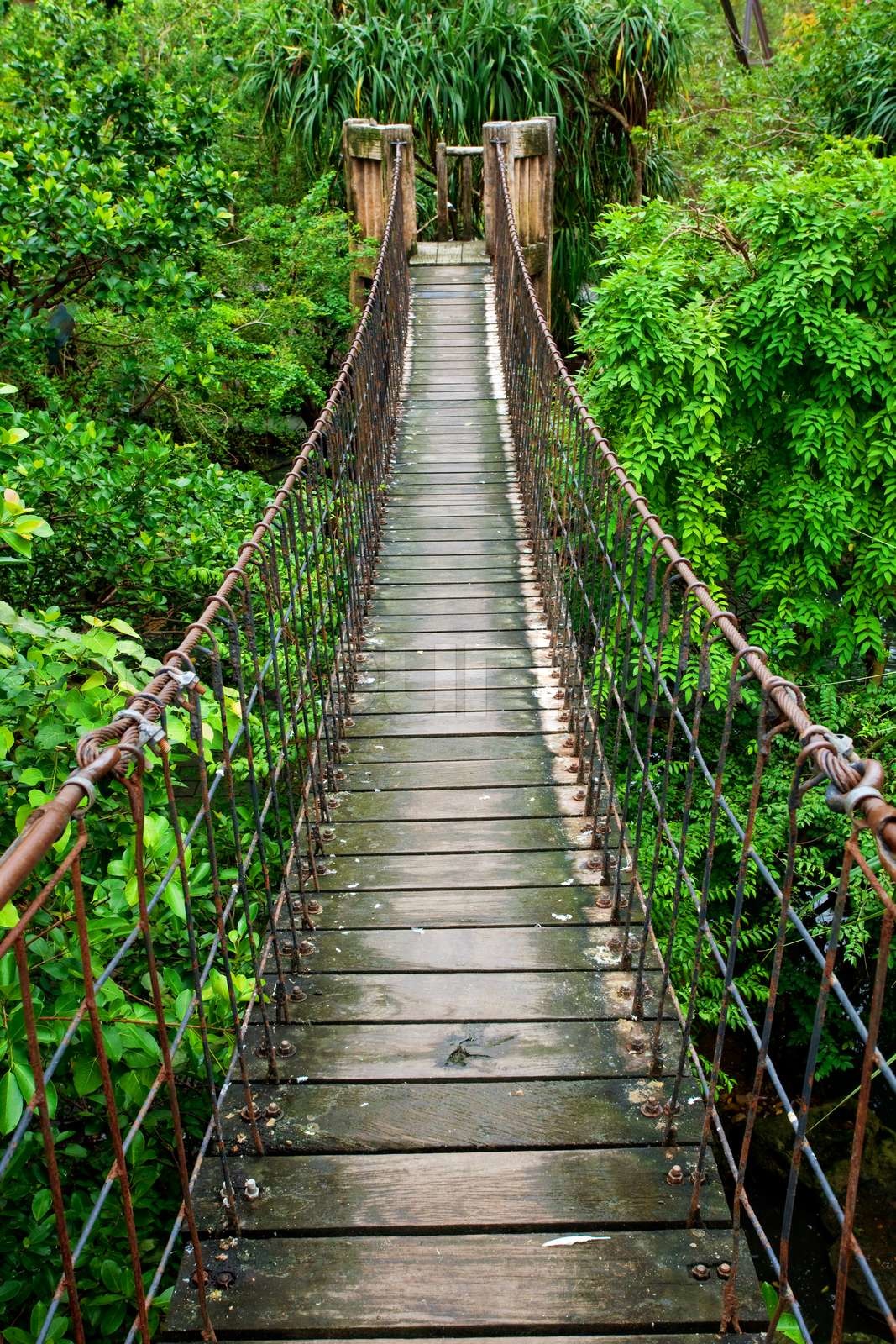 Rope walkway through | Stock image | Colourbox