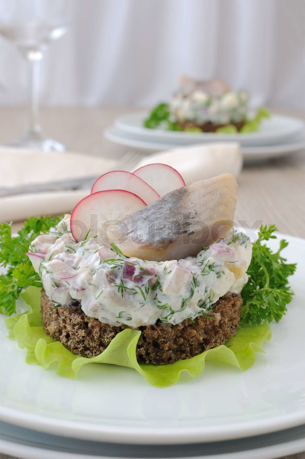 Salted herring tartare with apple and radish | Stock image | Colourbox