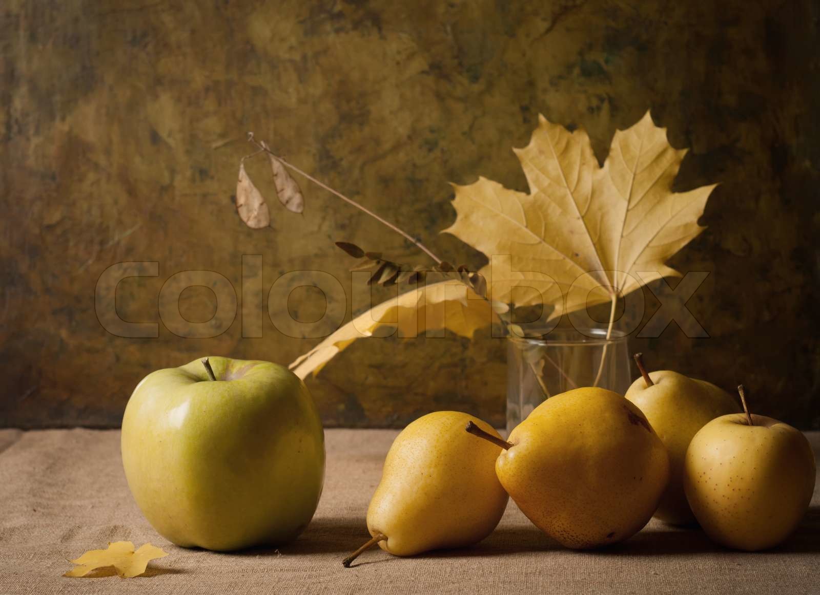 stilleben | Stock foto | Colourbox