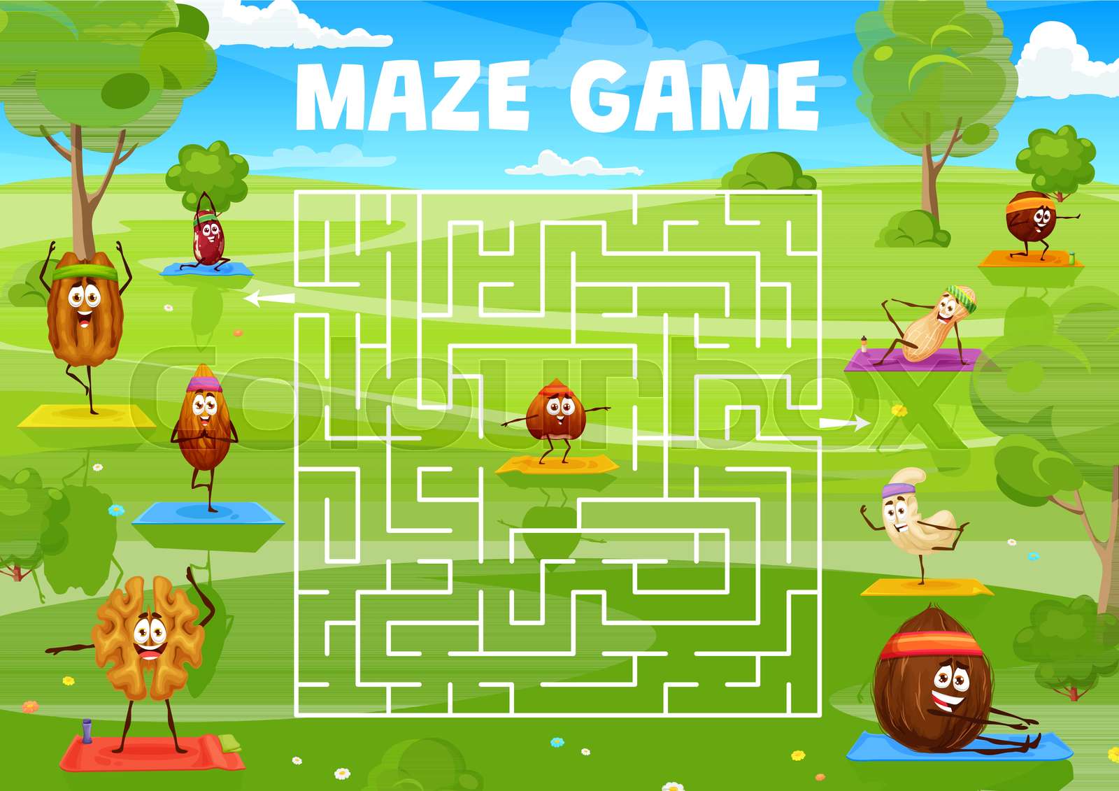 Labyrinth maze, cartoon nuts on yoga, quiz game | Stock vector | Colourbox