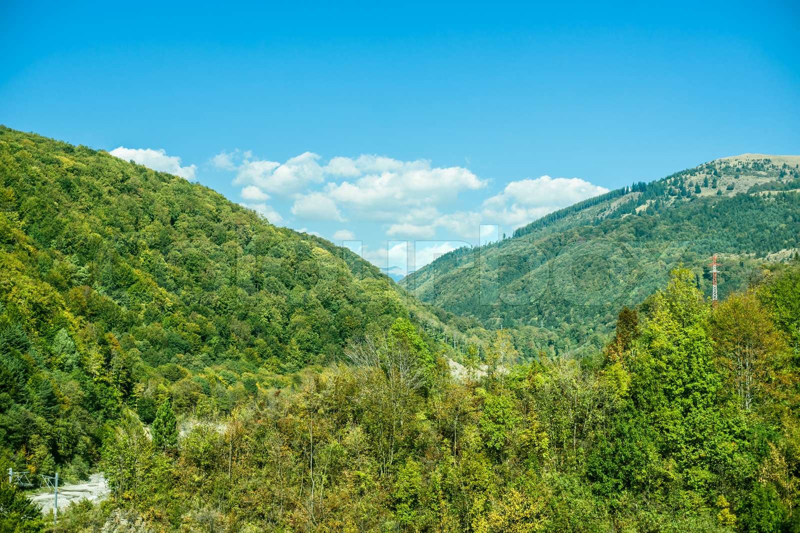 Mountain scenery with green trees | Stock image | Colourbox