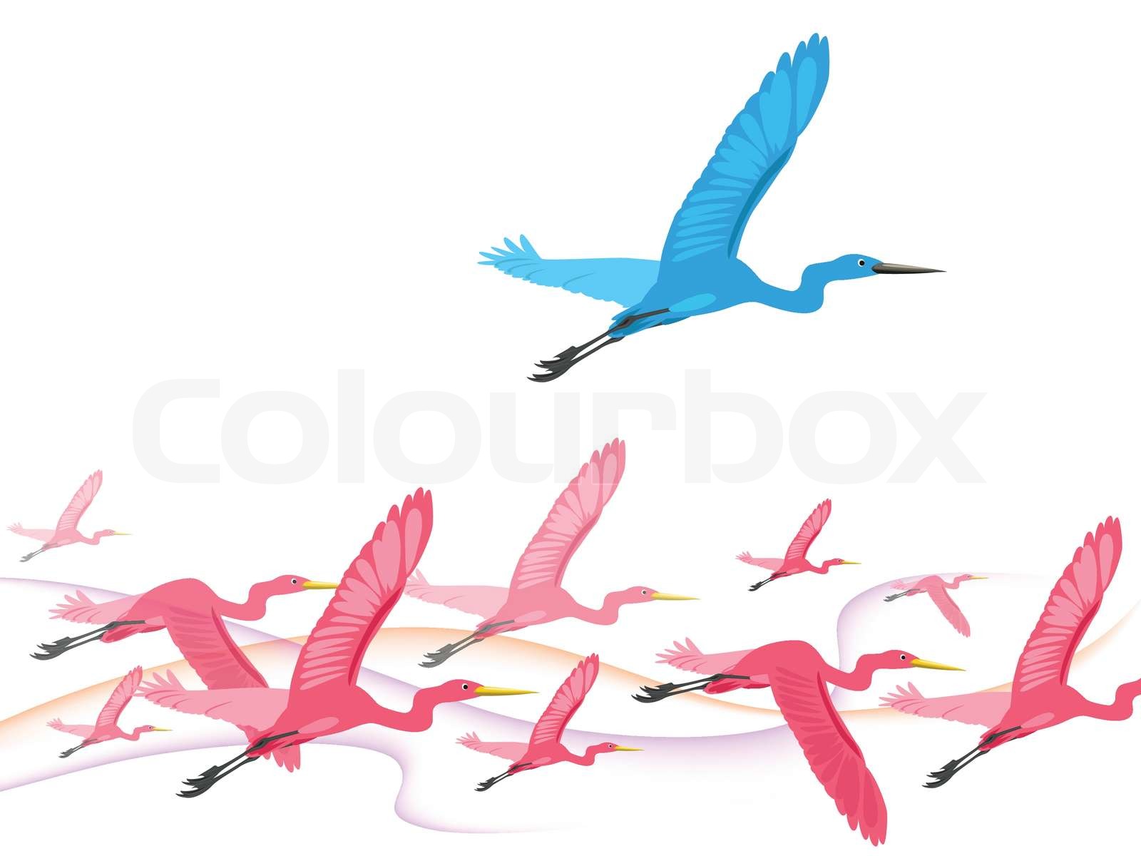 birds fly over | Stock vector | Colourbox