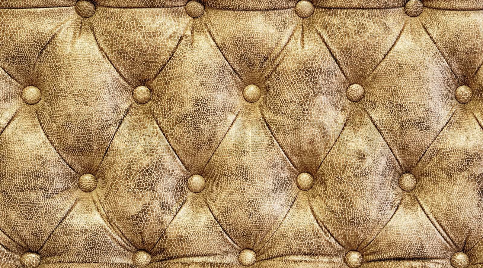 Texture of sofa leather | Stock image | Colourbox