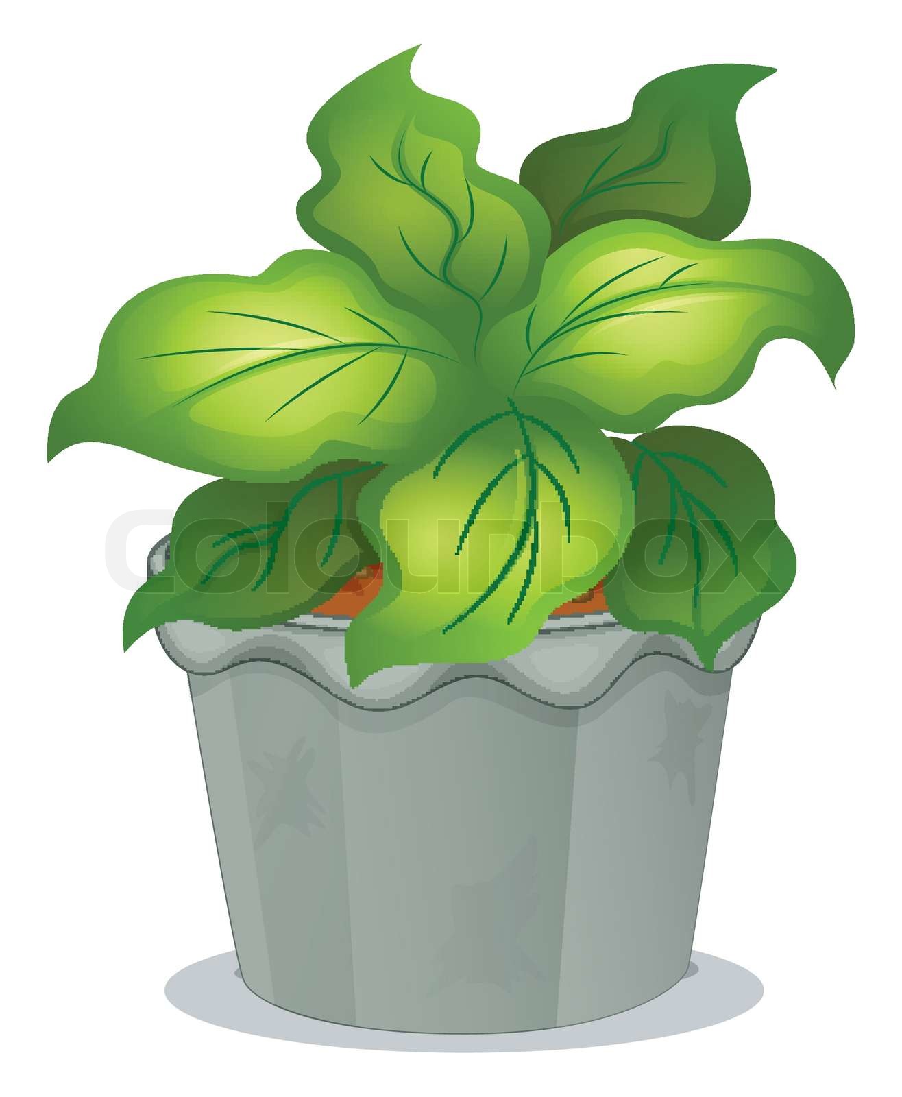 Potted Vegetable Plant Clipart