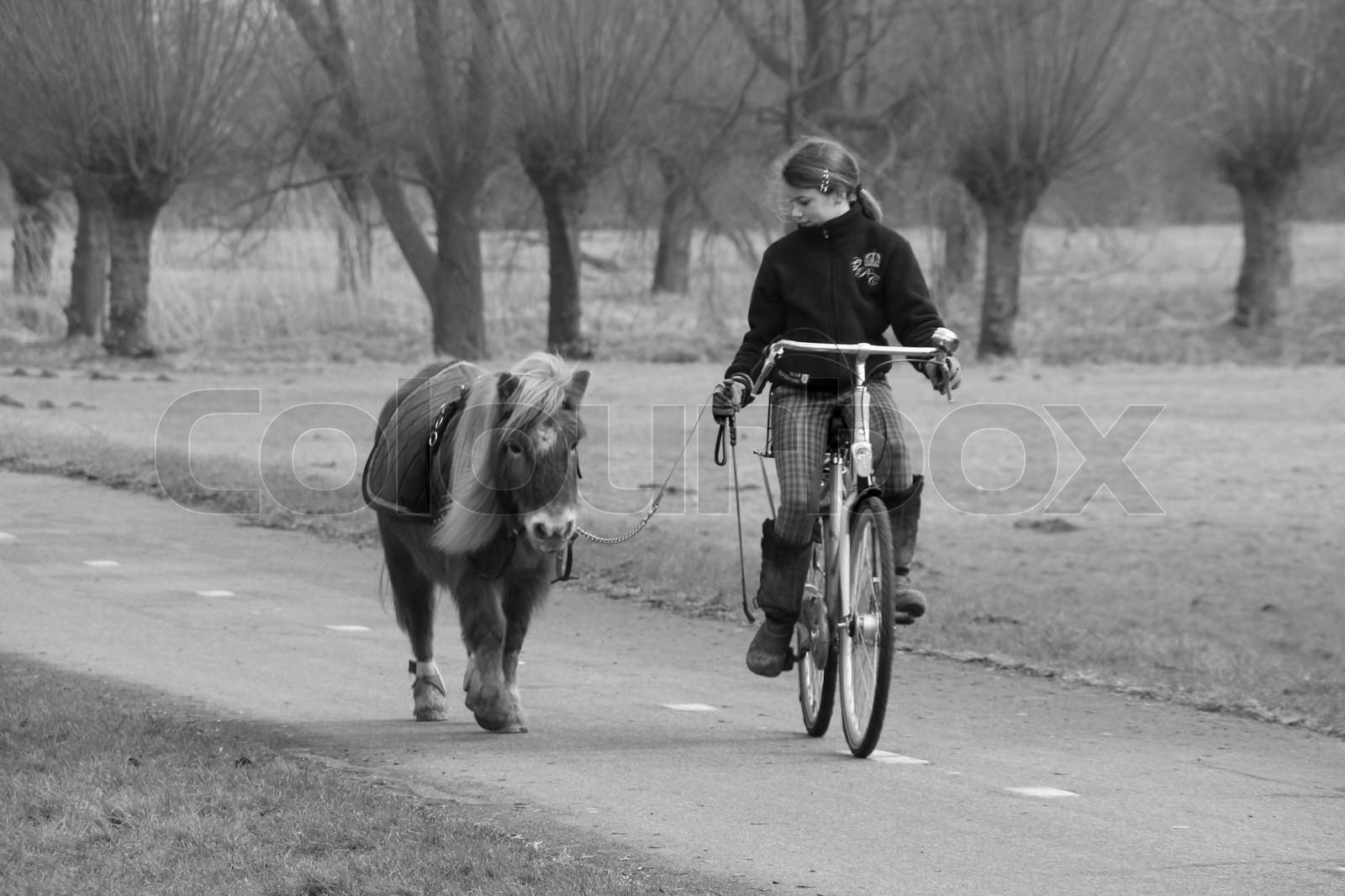 Going home, together. | Stock image | Colourbox