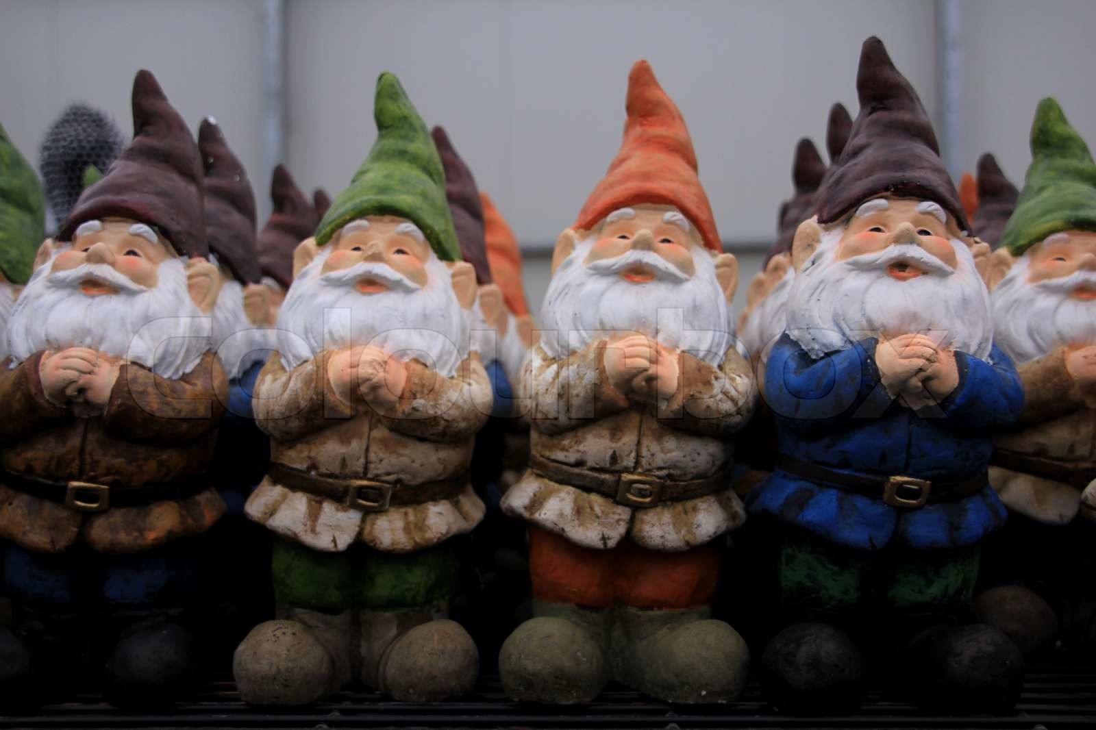 Singing gnomes. | Stock image | Colourbox