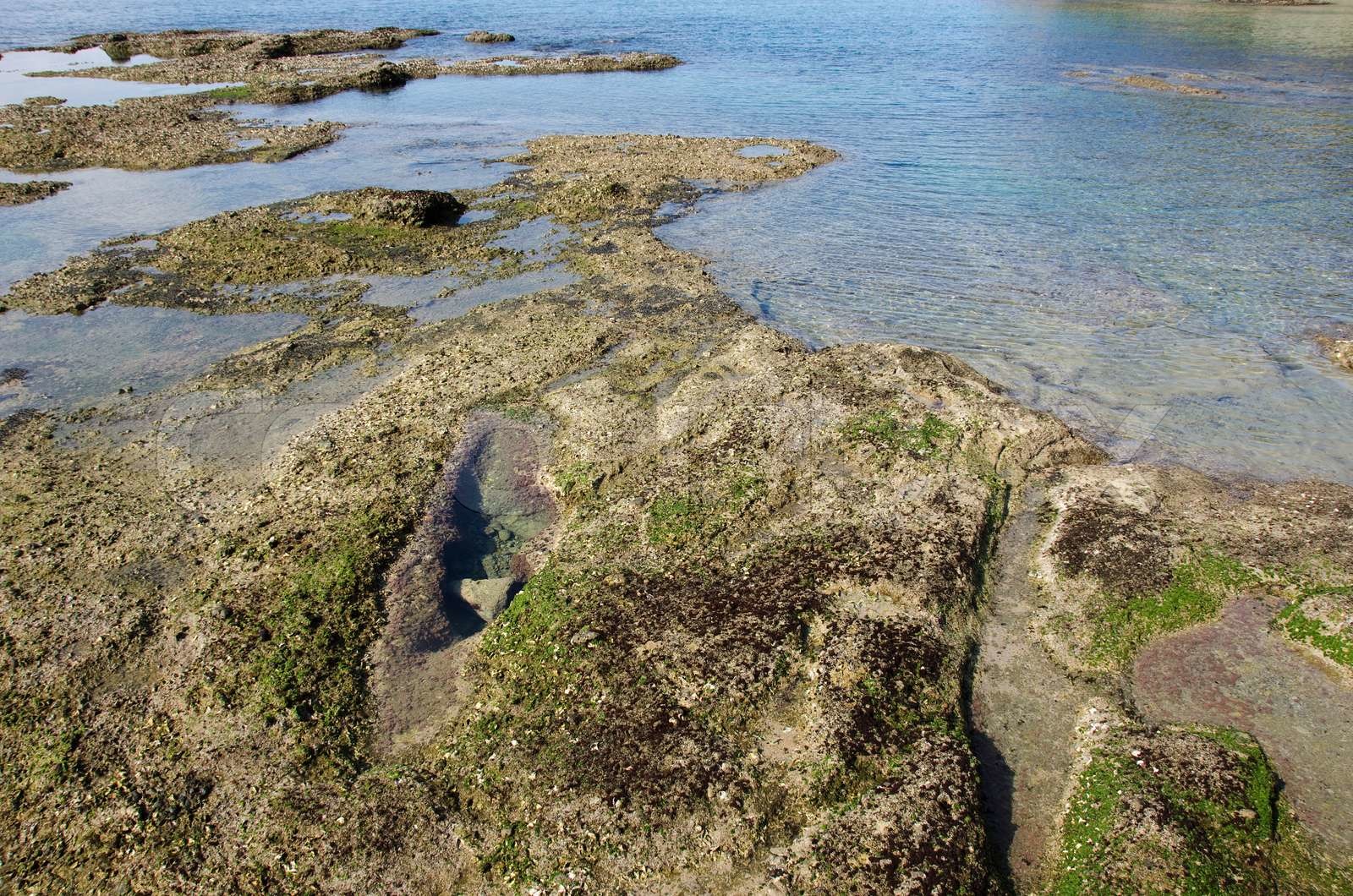 Tidal flat rocks | Stock image | Colourbox
