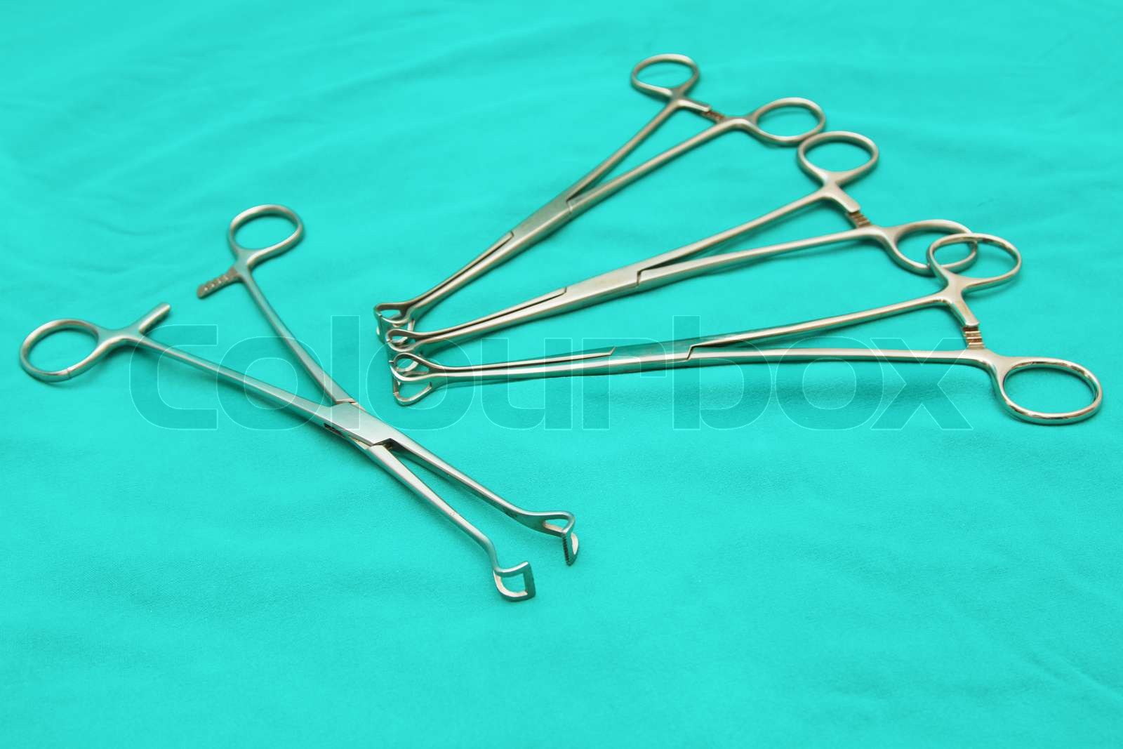 surgery instrument,Babcock Forceps on surery room | Stock image | Colourbox