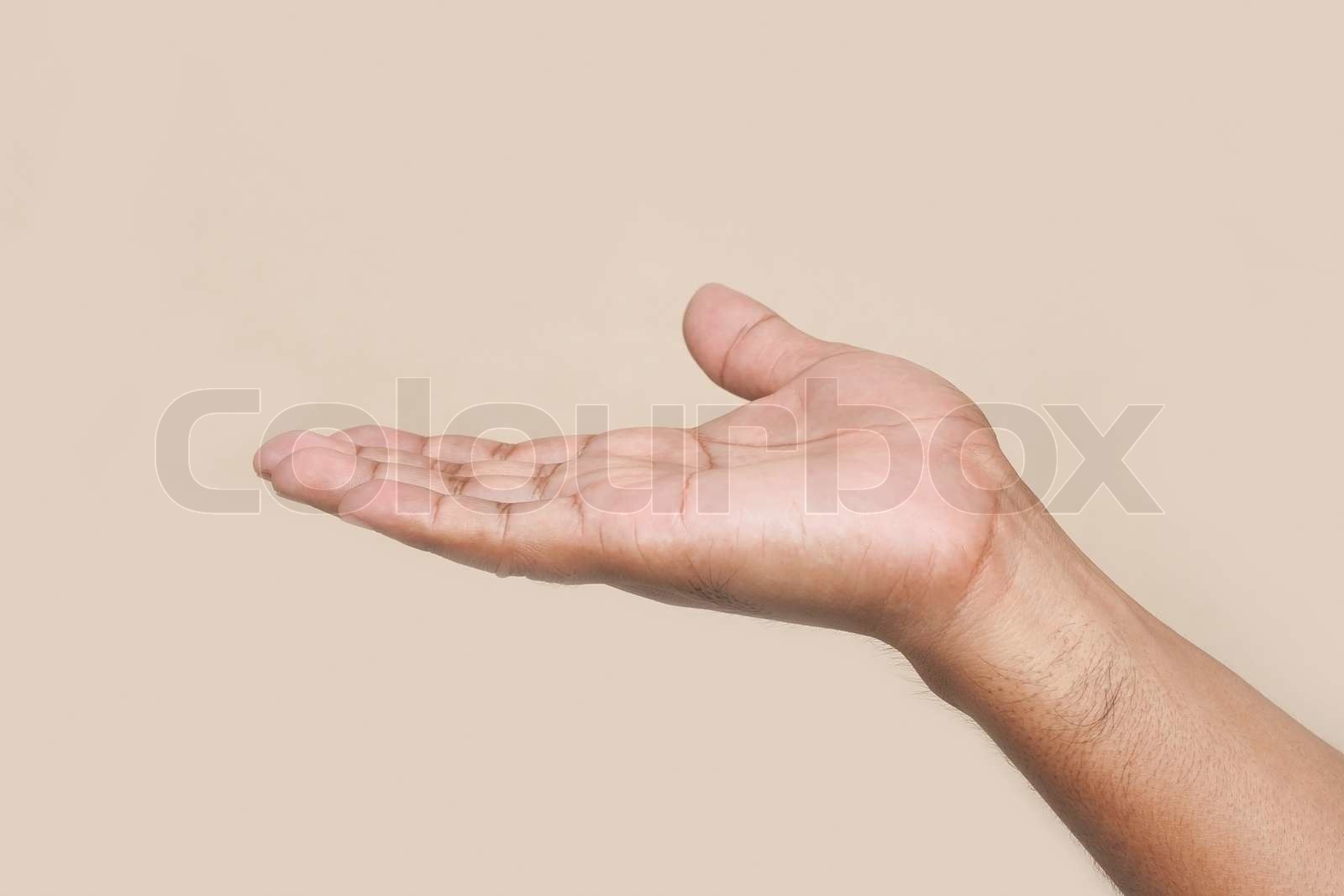 Empty open hand | Stock image | Colourbox