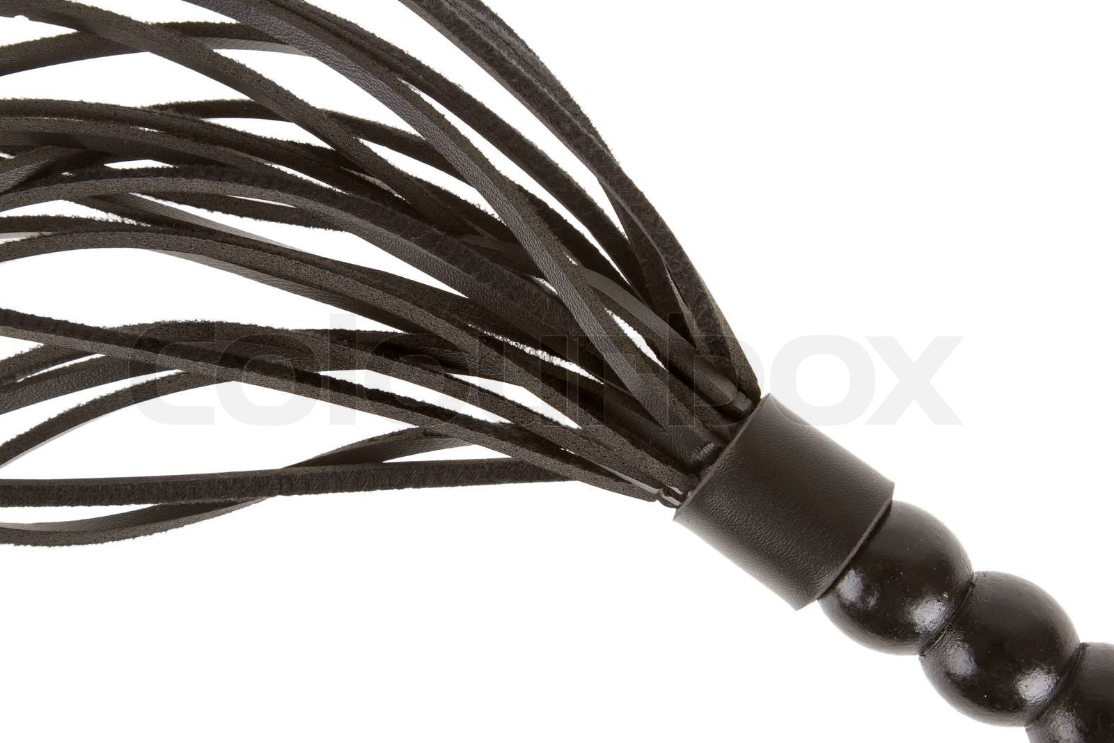 Læder pisk isoleret | Stock foto | Colourbox