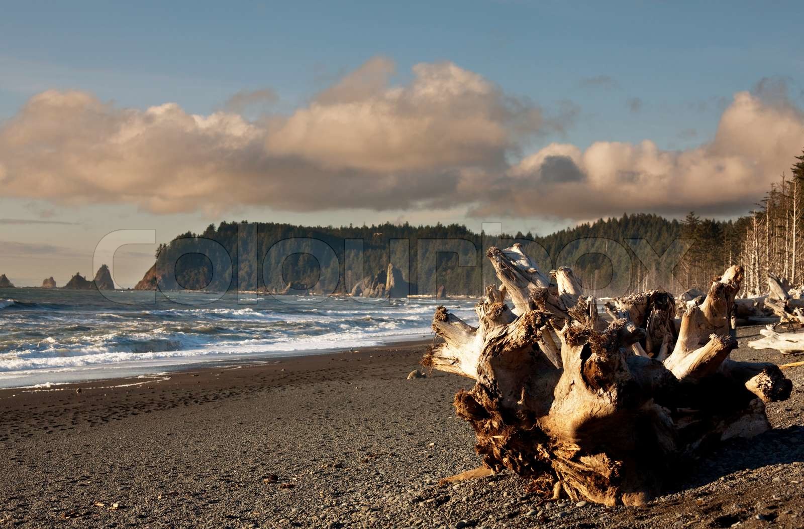 Olympic coast | Stock image | Colourbox