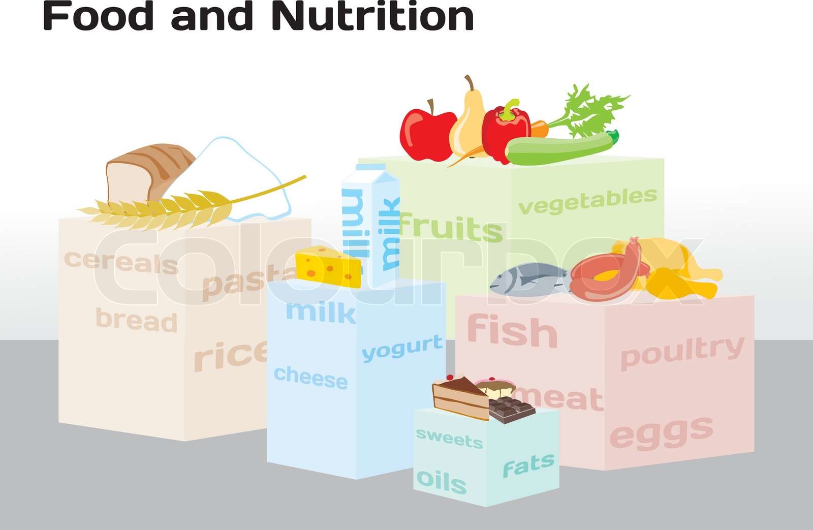 Food and Nutrition shown in infographic chart | Stock vector | Colourbox