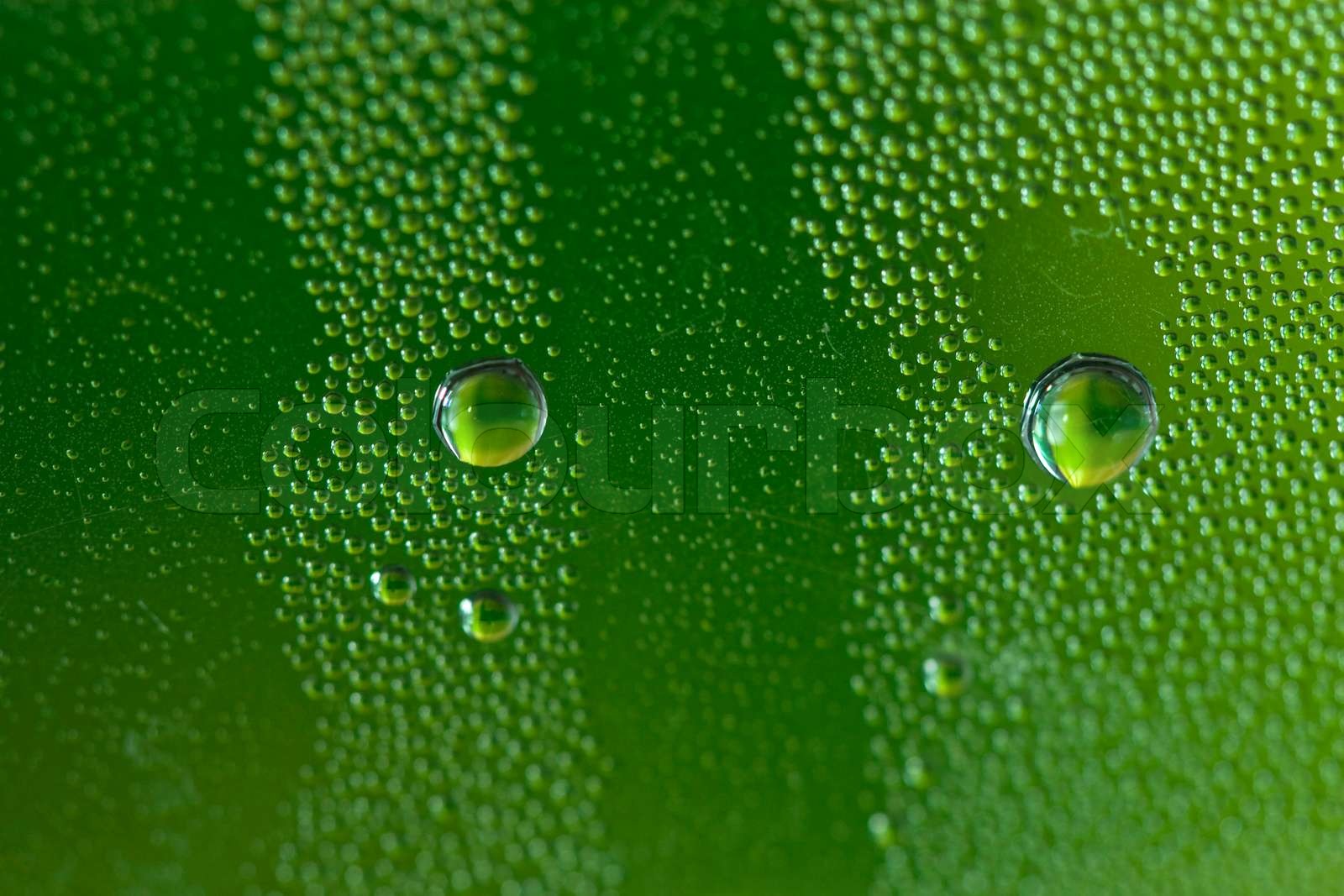 Wassertropfen | Stock Bild | Colourbox