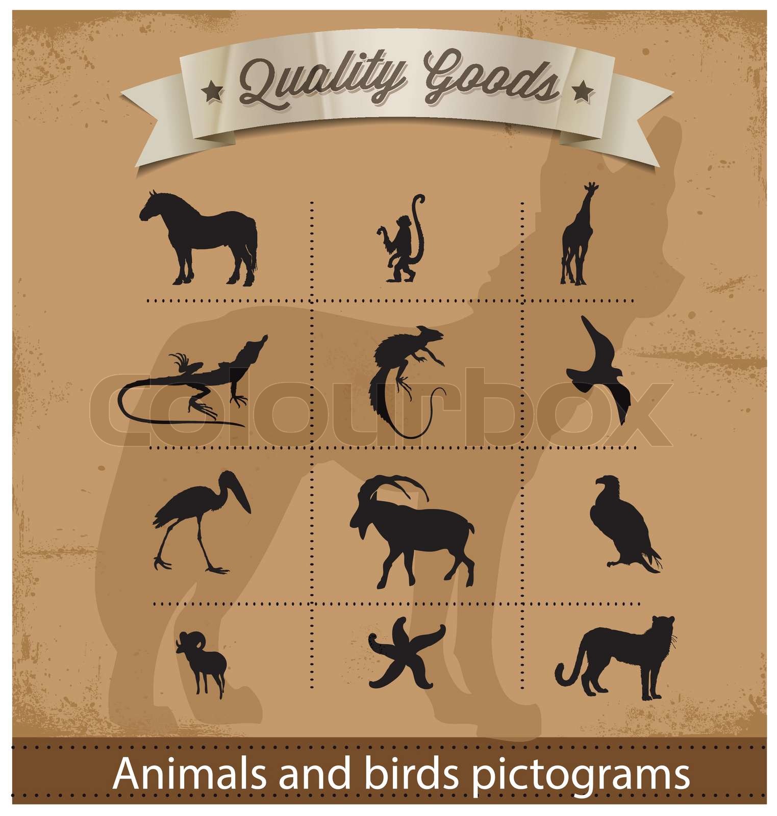 animals and birds pictogram symbols set | Stock vector | Colourbox