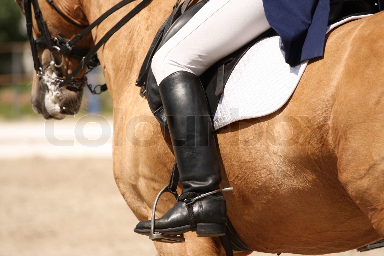menschlichen Bein auf dem Pferd | Stock Bild | Colourbox