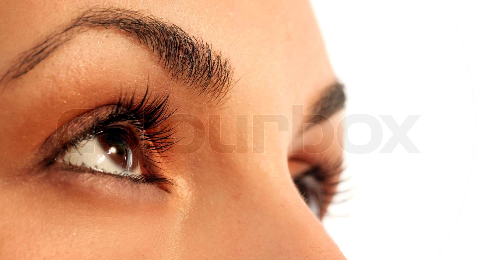 Brown eye | Stock image | Colourbox