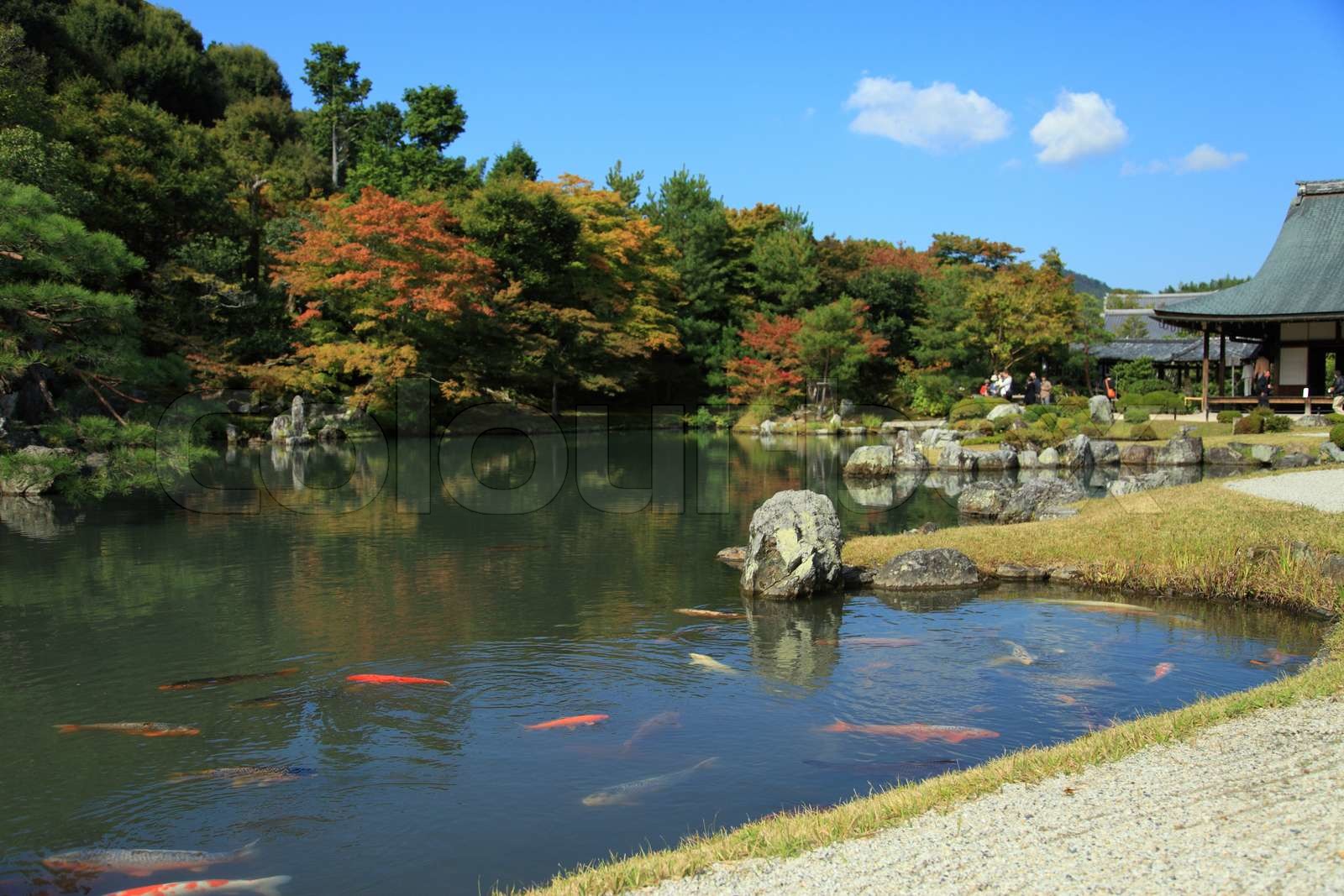 Tenryuji temple in Kyoto | Stock image | Colourbox