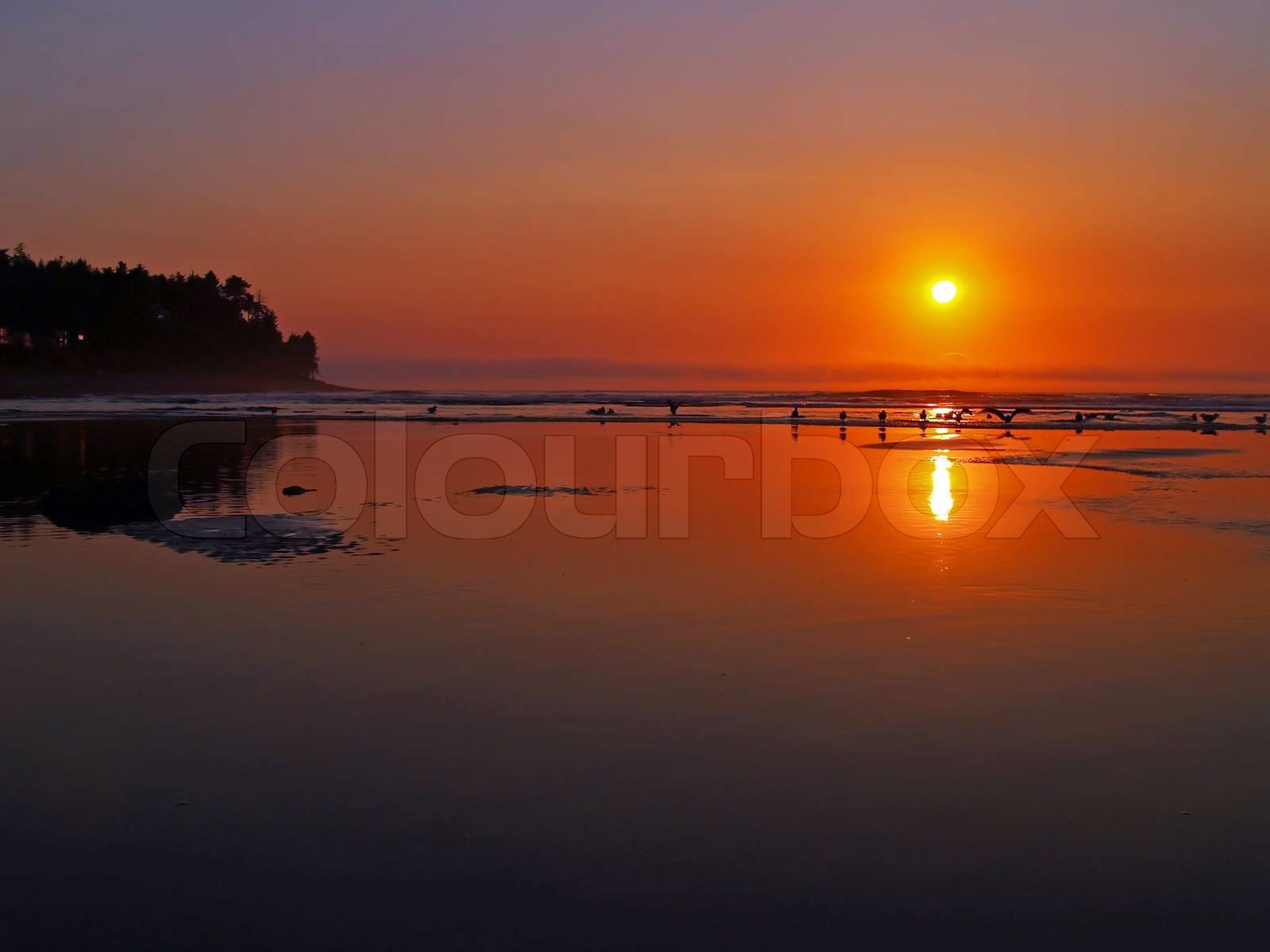 Sunset at the Beach on the Oregon Coast | Stock image | Colourbox