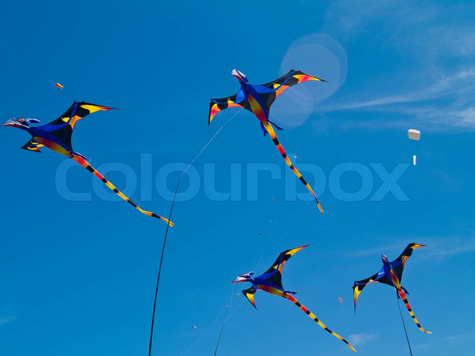 Various Colorful Pterodactyl Kites Flying in a Bright Blue Sky at the ...