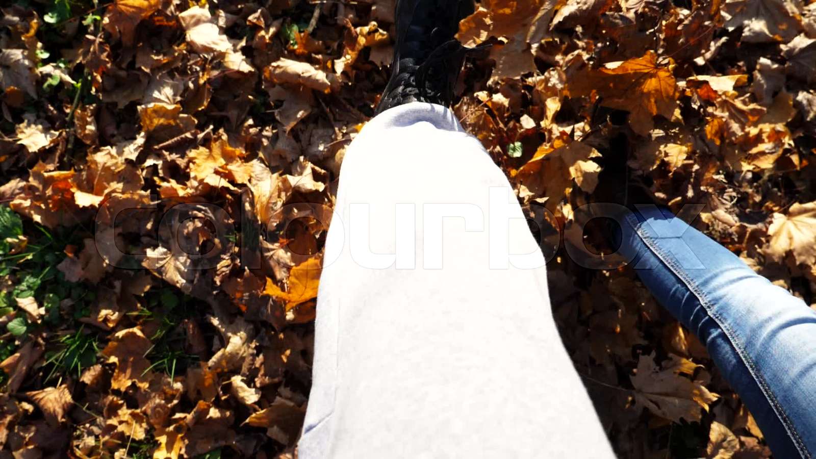 Point of view of young couple stepping together on maple leaves at ...