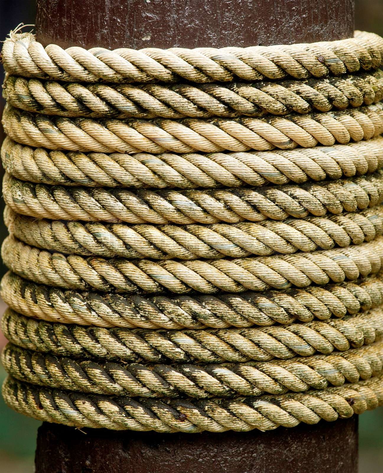 rope tied around | Stock image | Colourbox