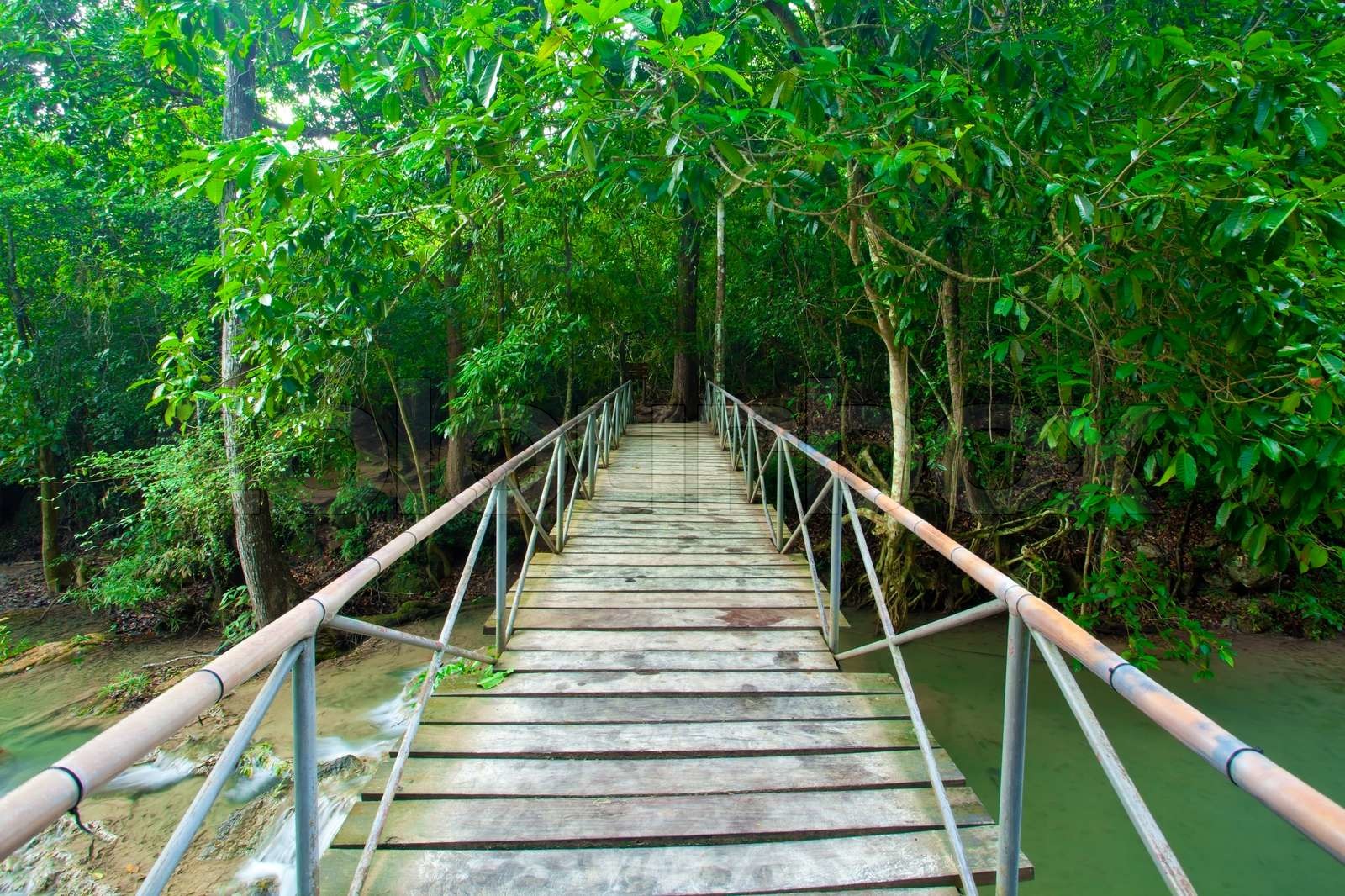 Rope walkway | Stock image | Colourbox