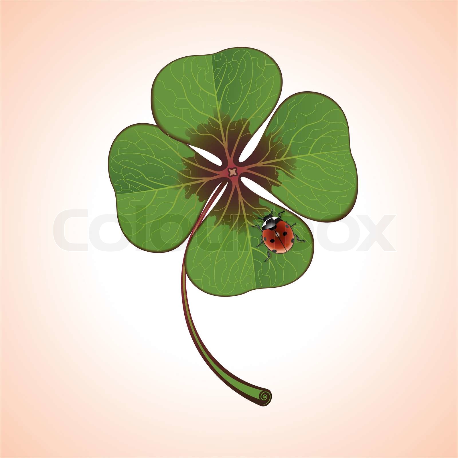 Clover With Ladybug Stock Vector Colourbox