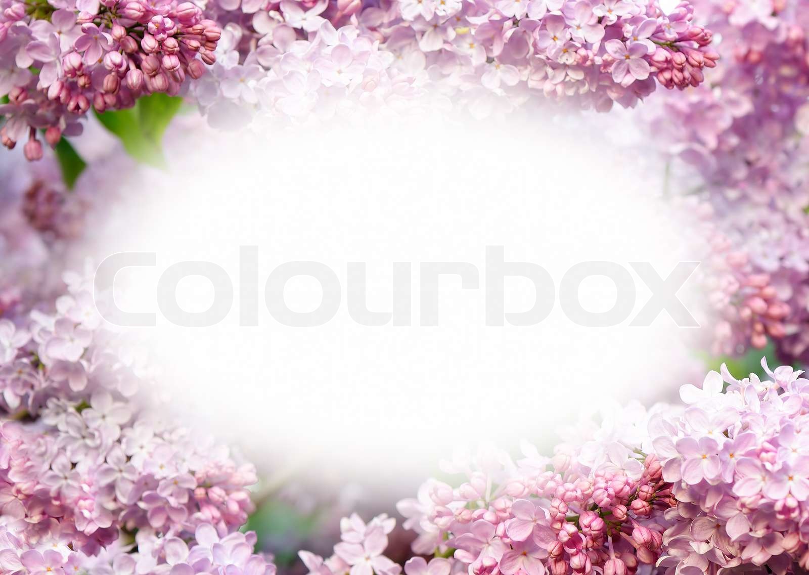 Template for design with flowers and white vignette | Stock image ...