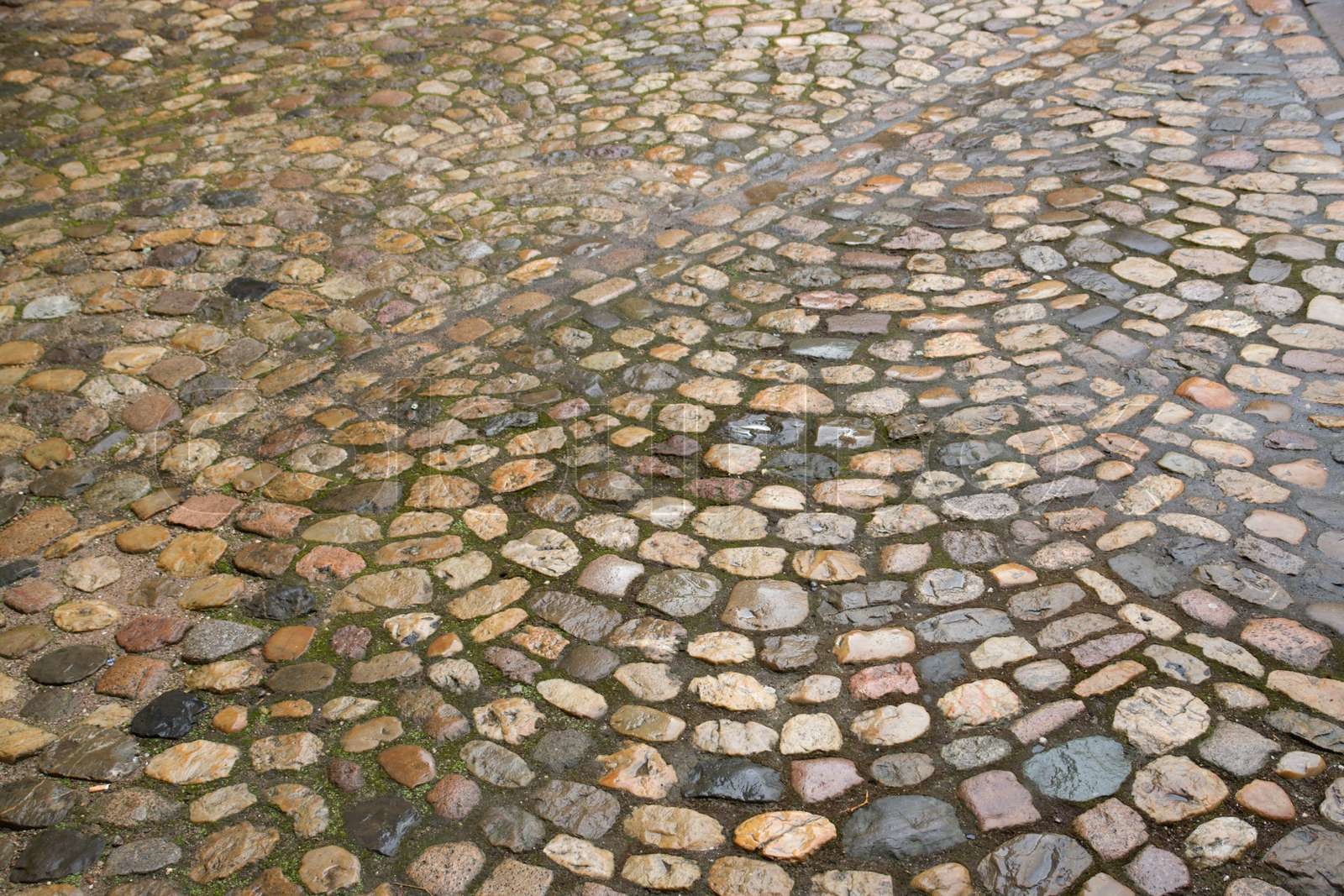 Pflaster zurück | Stock Bild | Colourbox