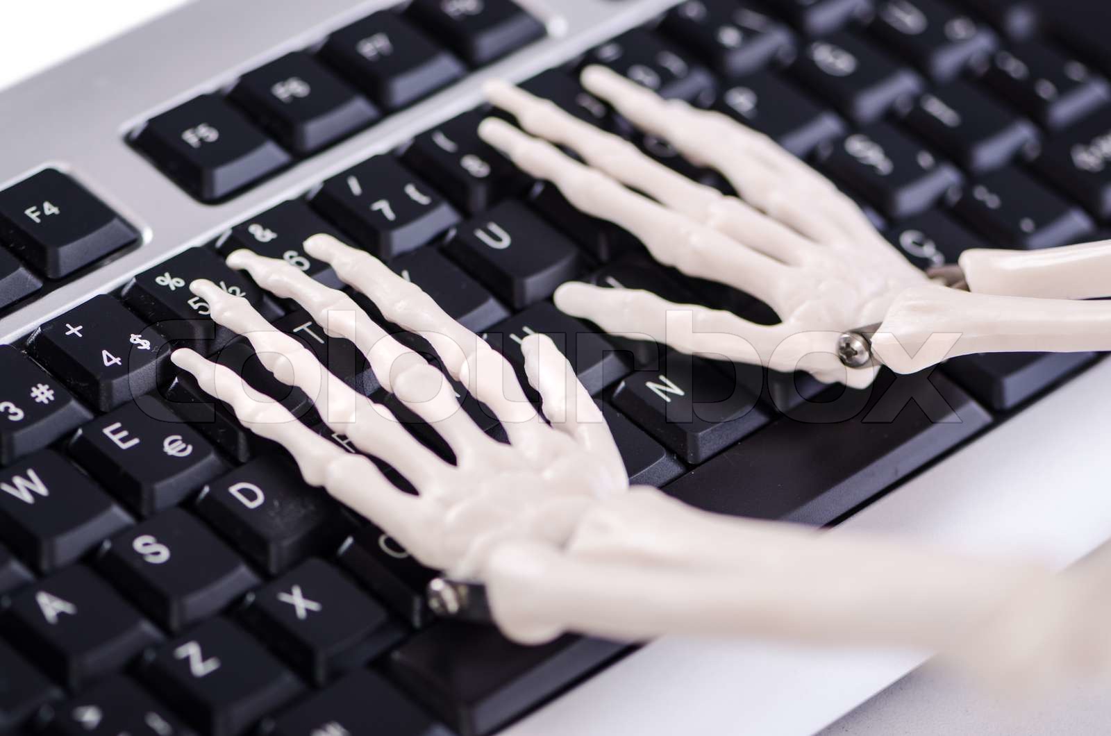 Skeleton working on the keyboard | Stock image | Colourbox