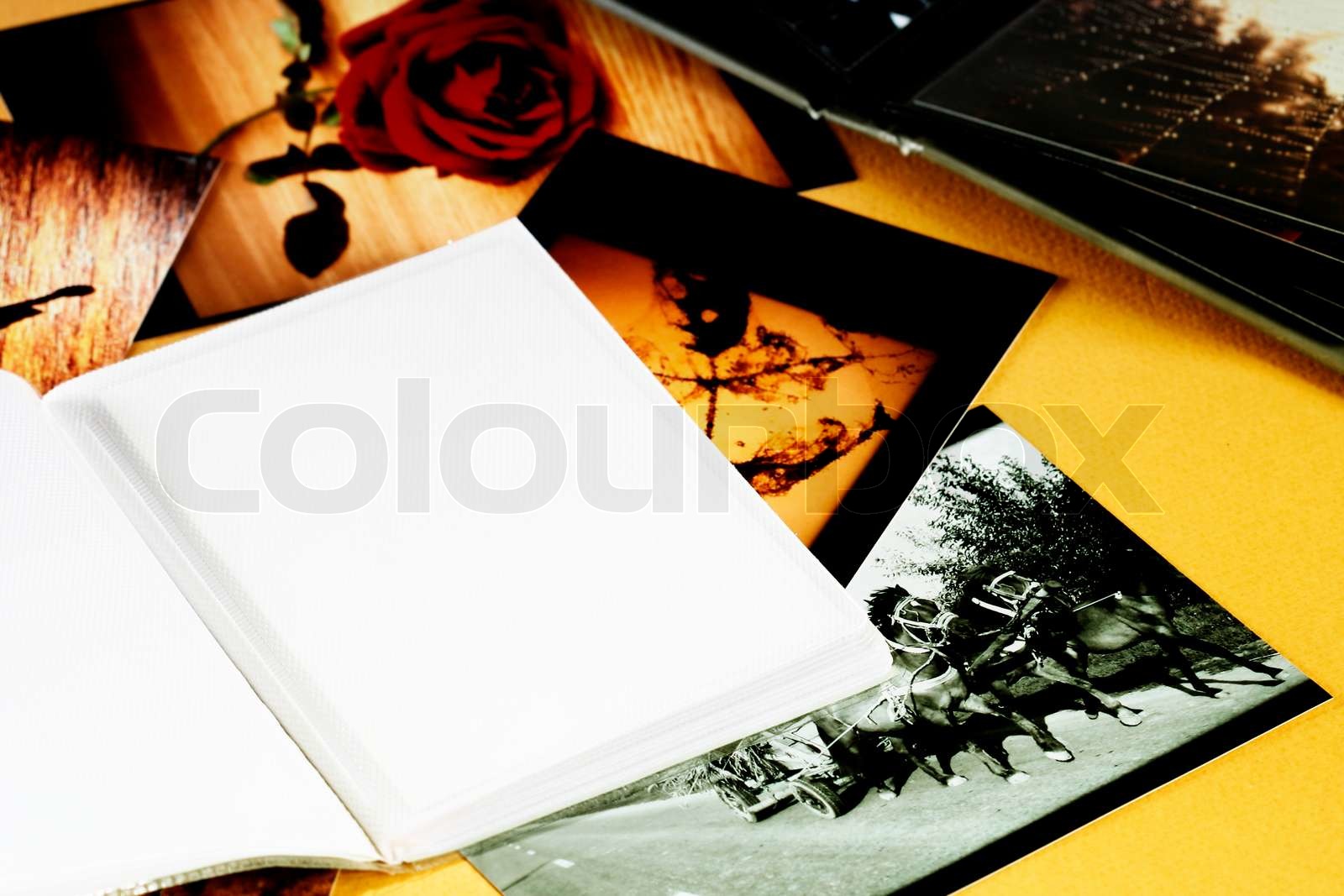 Photo Album | Stock image | Colourbox