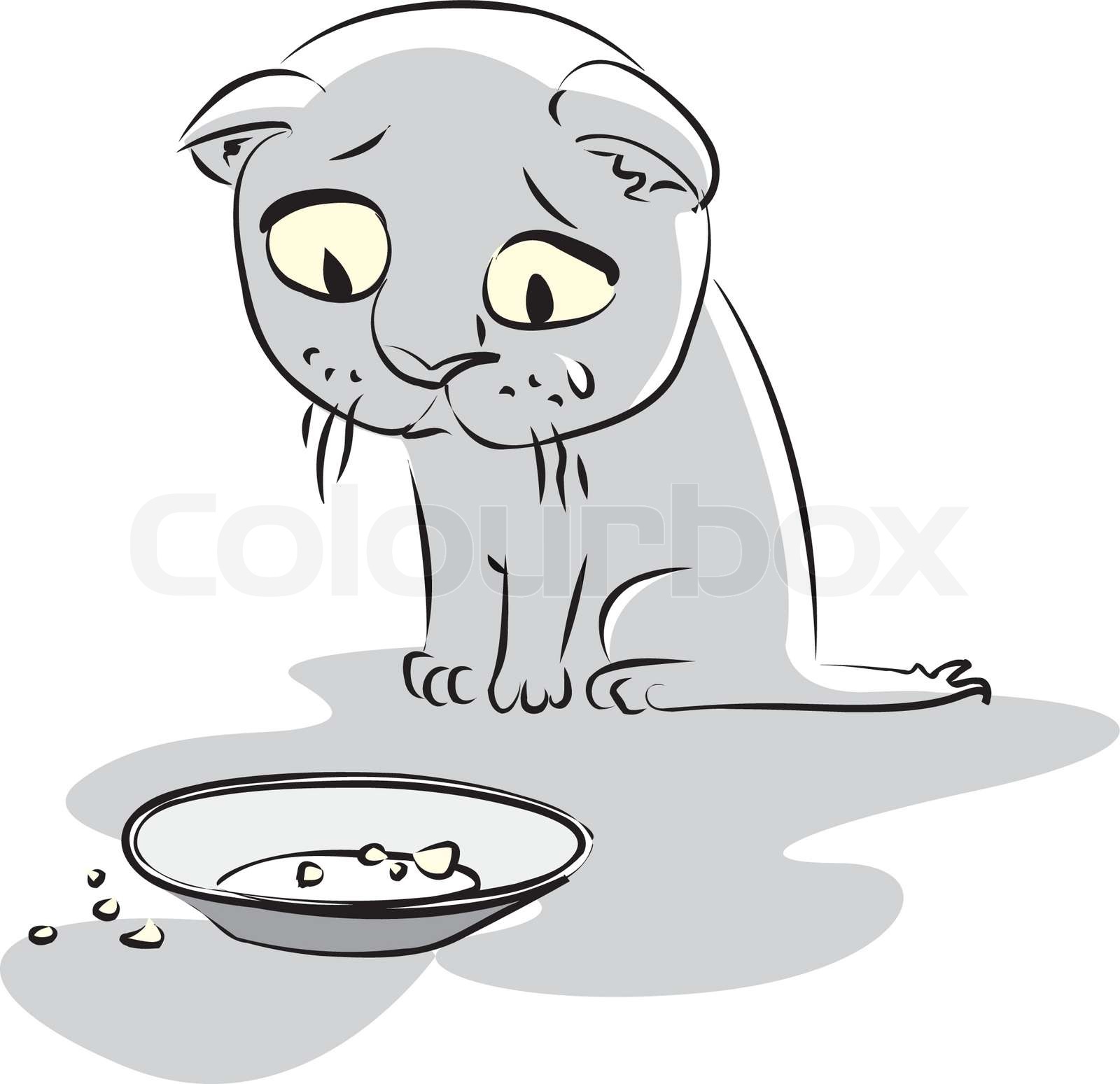 Hungry kitty Vector illustration | Stock vector | Colourbox