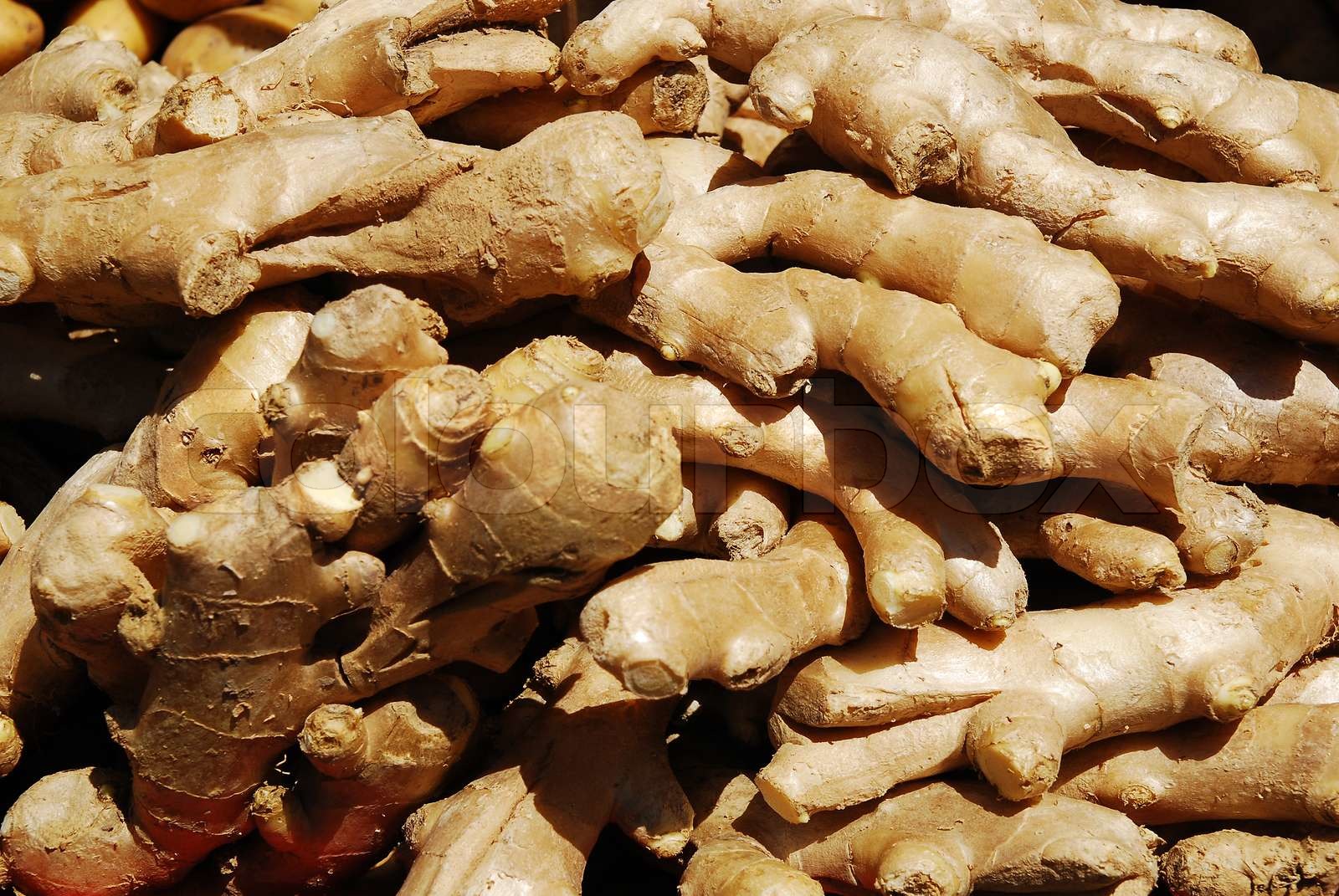 Old ginger in the market | Stock image | Colourbox
