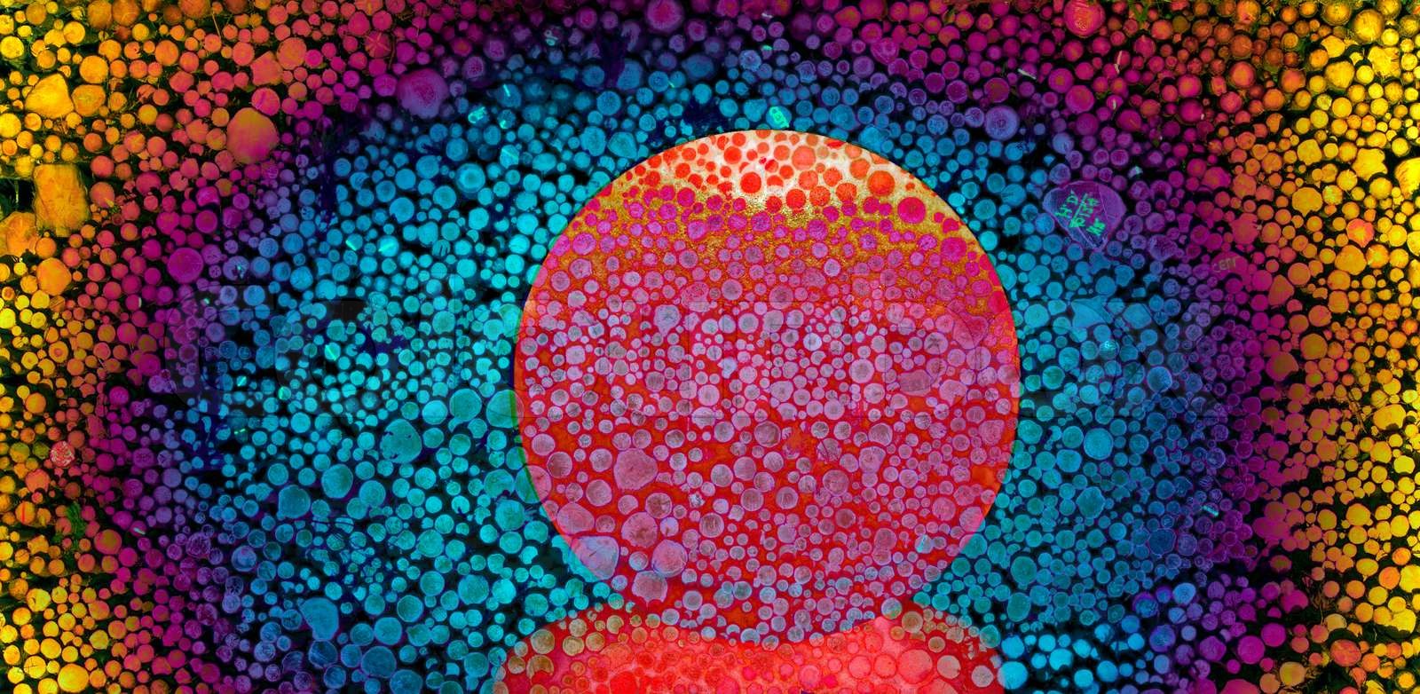 One circle | Stock image | Colourbox