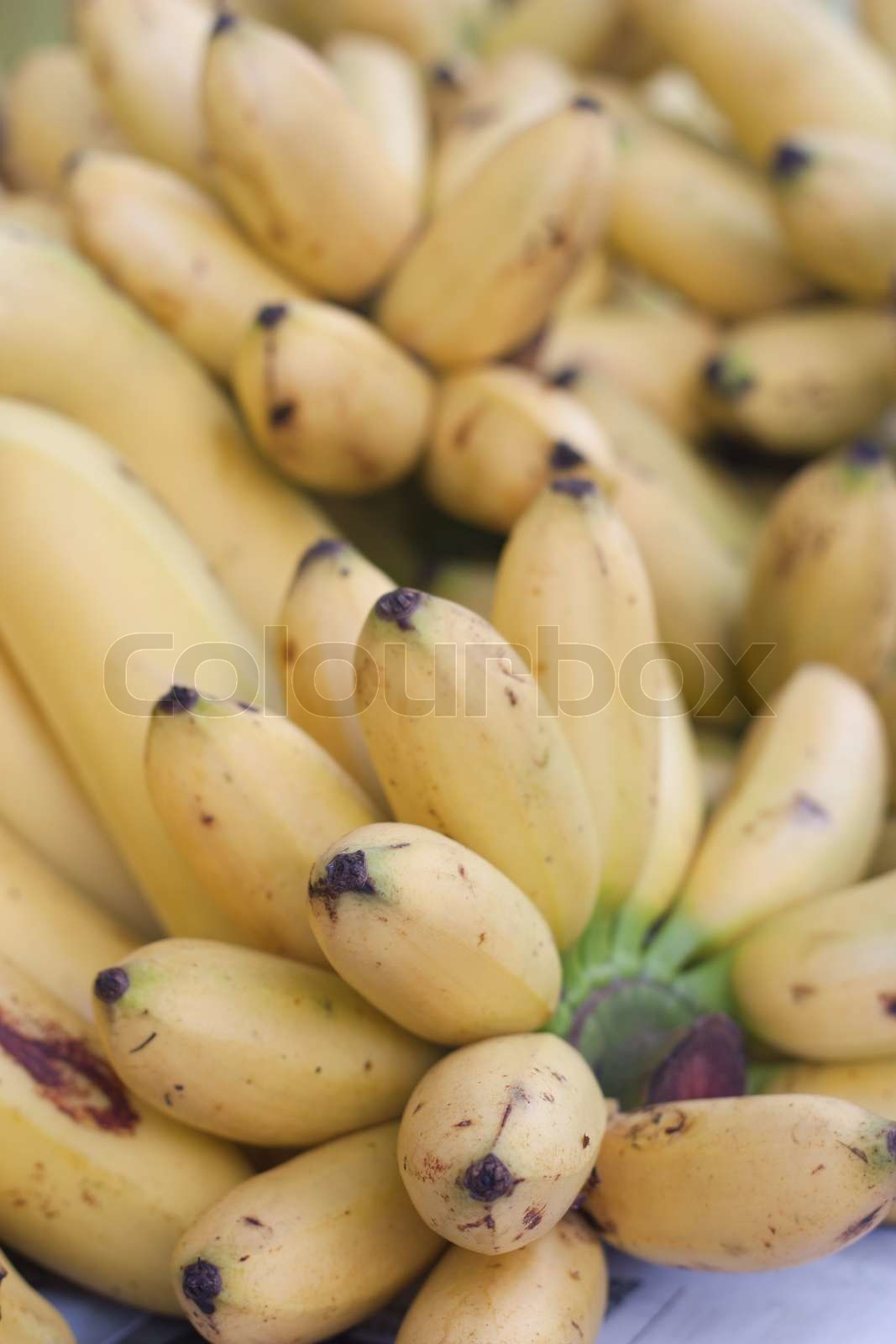 Banana | Stock image | Colourbox